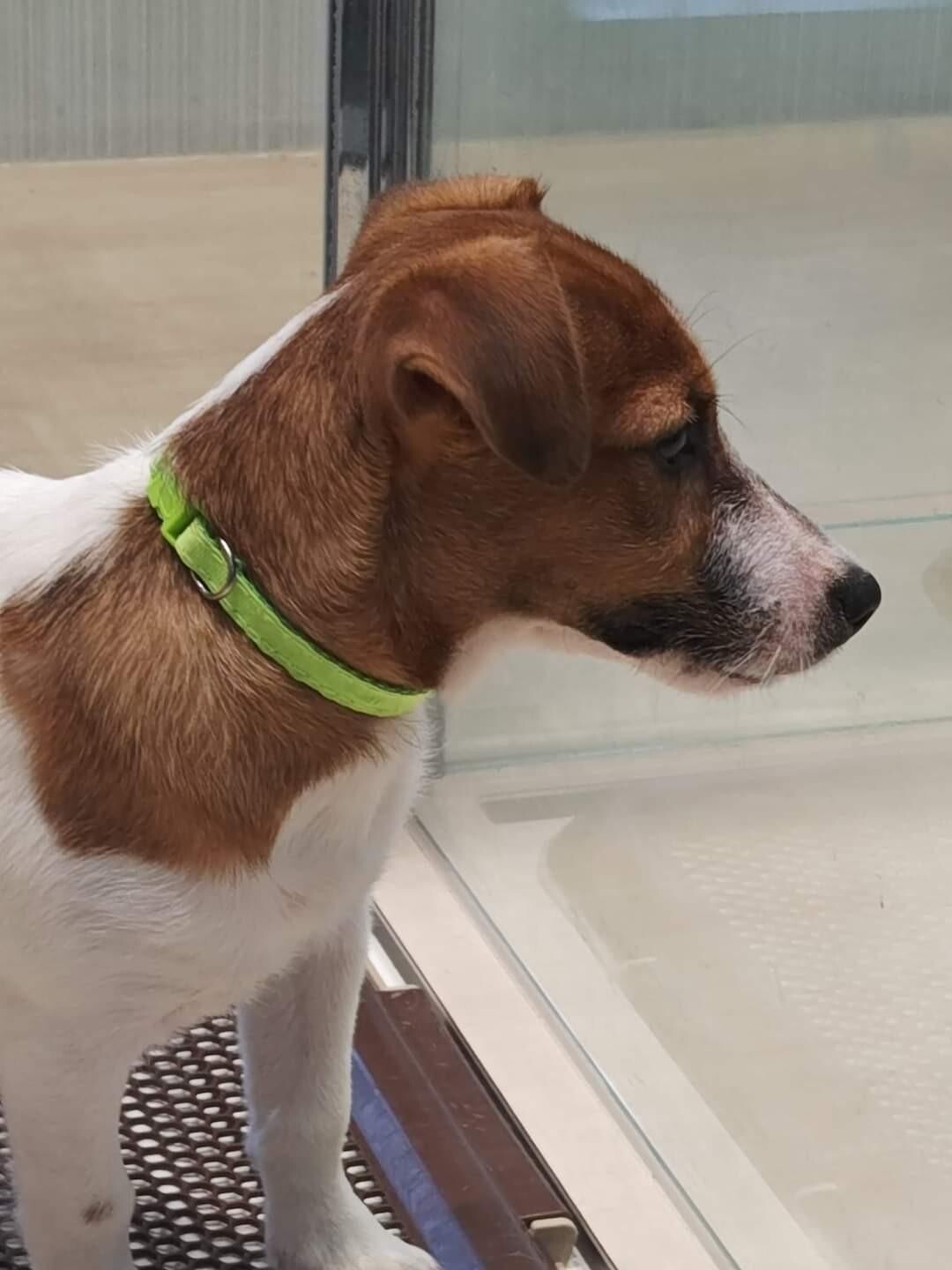 megのページ | YAMAP / ヤマップ