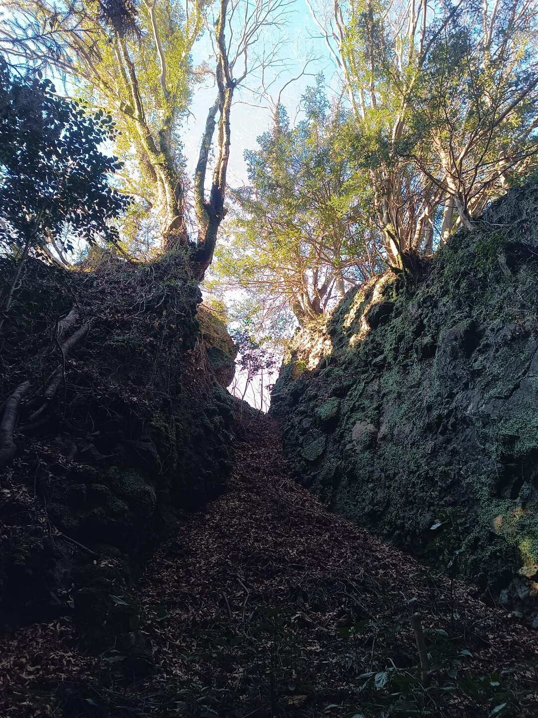 活動記録に残せなかった山シリーズ 3.... / Nozomiさんのモーメント | YAMAP / ヤマップ