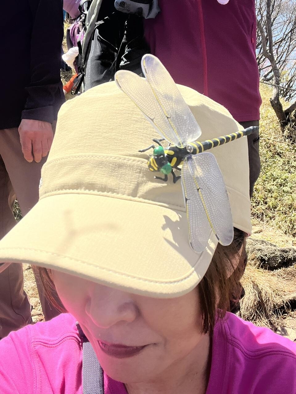 やっちゃんのページ | YAMAP / ヤマップ