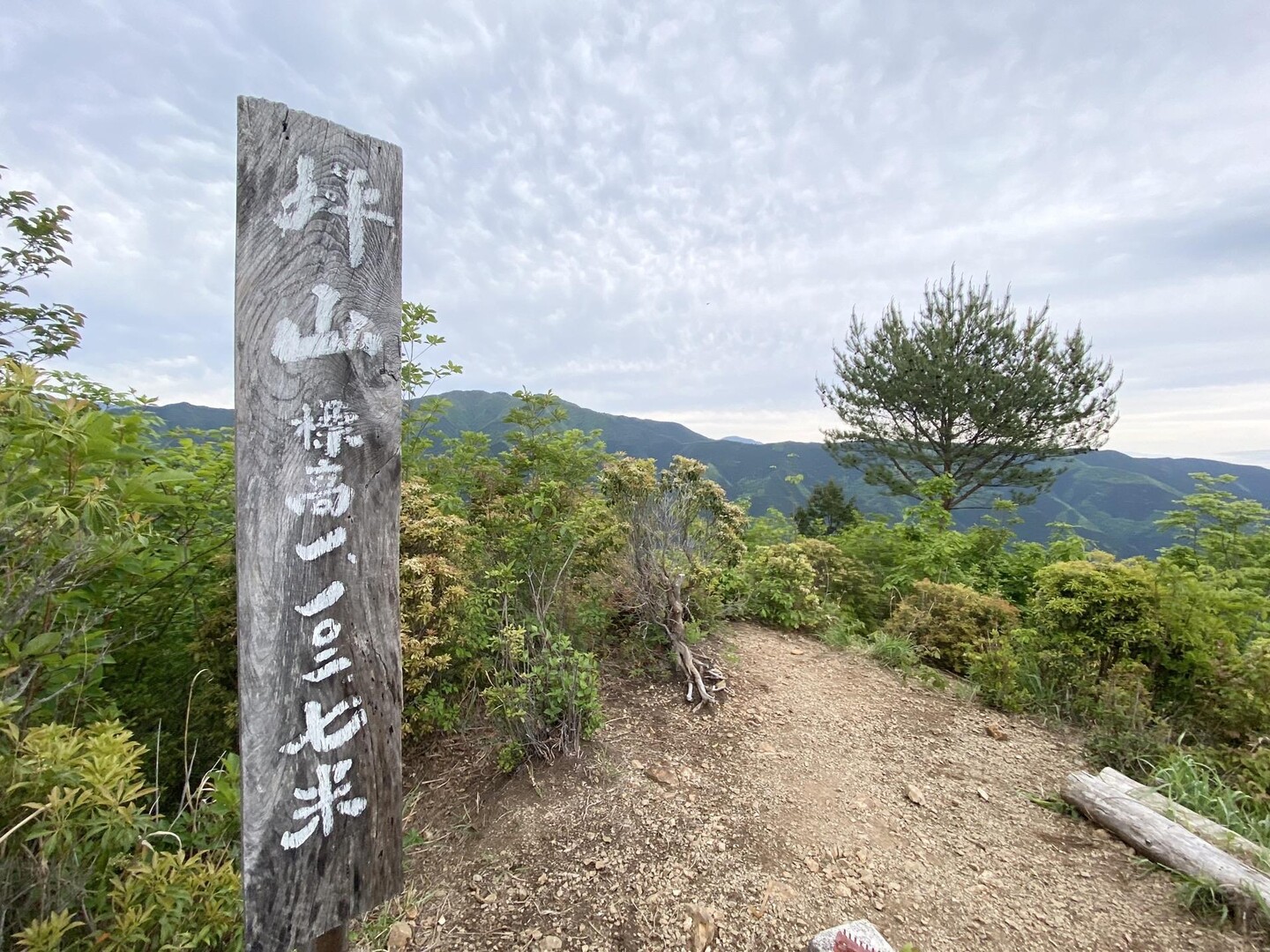 びりゅう館〜丸山🎏〜坪山 / MAYUMIさんの権現山・奈良倉山の活動データ | YAMAP / ヤマップ