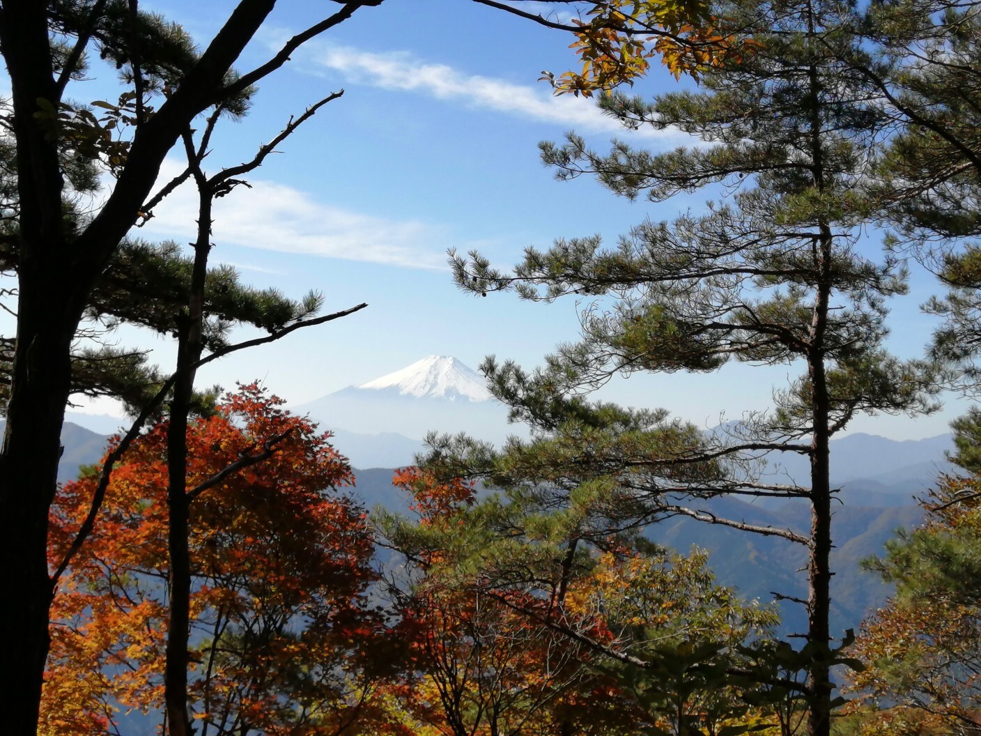 Mt Fuji and autumn c... / Jordiさんのモーメント | YAMAP / ヤマップ