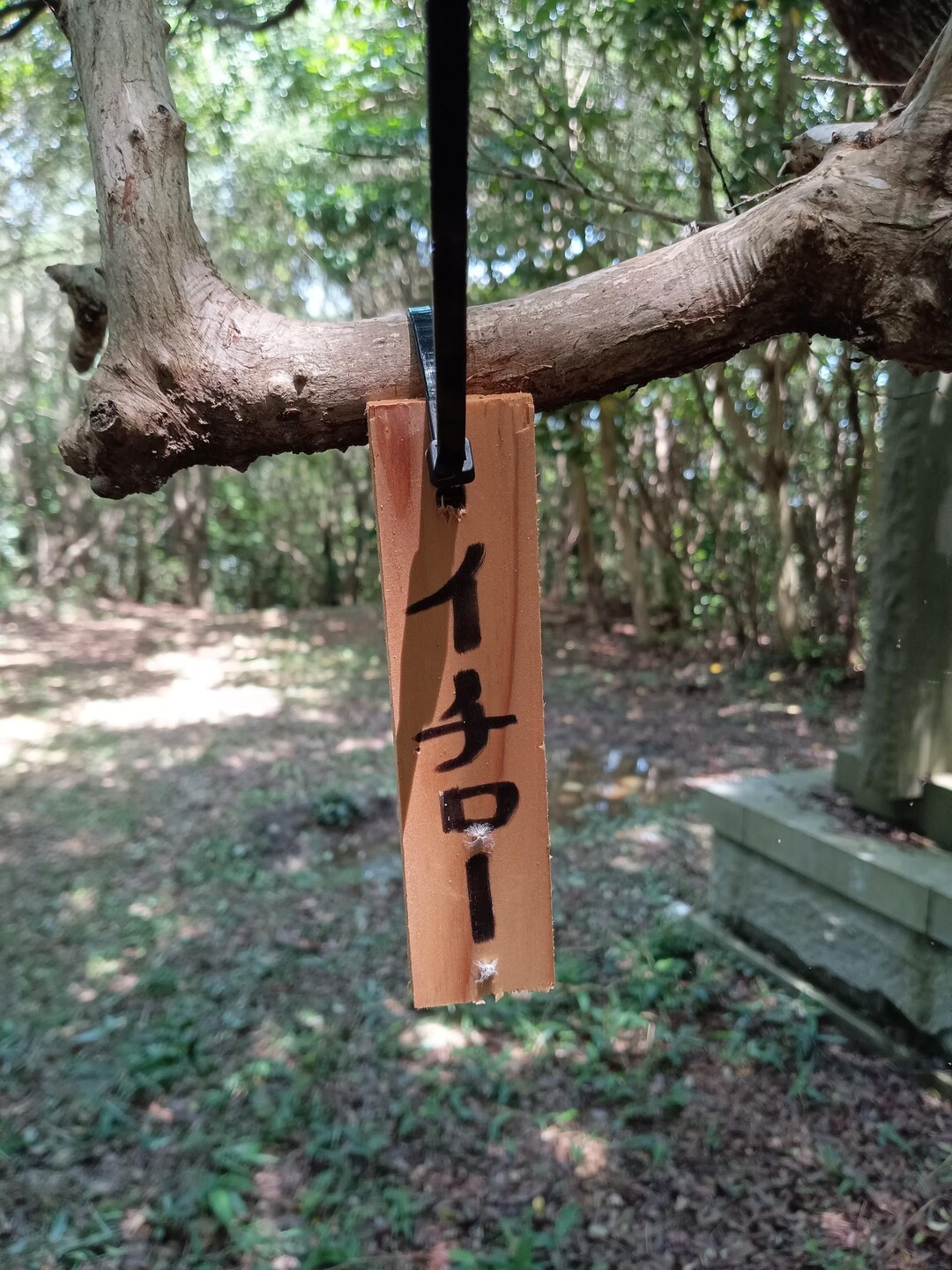 三井山⛰️ / k54さんの小笠山の活動データ | YAMAP / ヤマップ