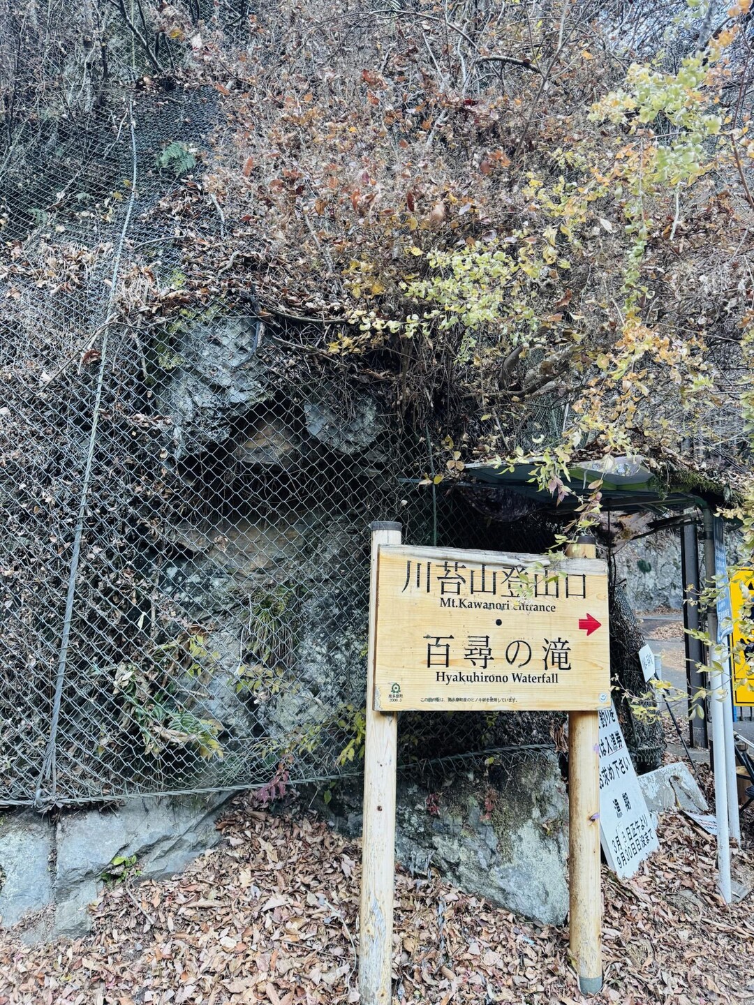 川苔山（川乗山）・鋸尾根Ⅰ峰 / KAOさんの川苔山（川乗山）の活動データ | YAMAP / ヤマップ