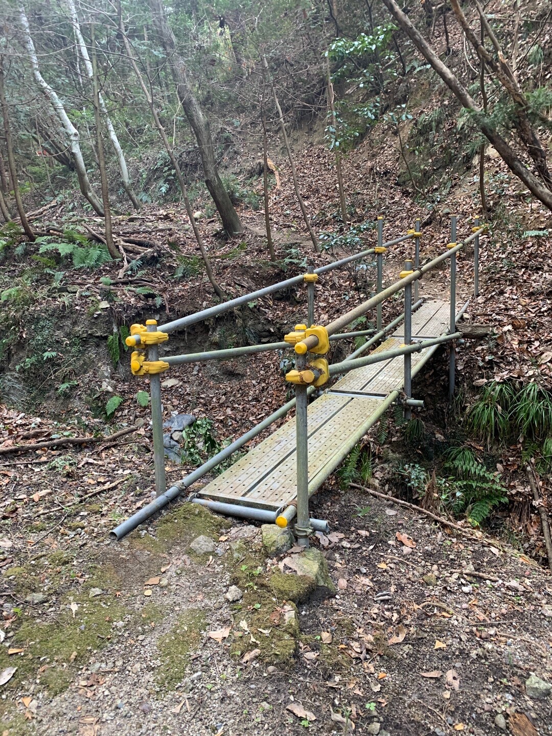 iwanemanさんの投稿したフィールドメモ | YAMAP / ヤマップ