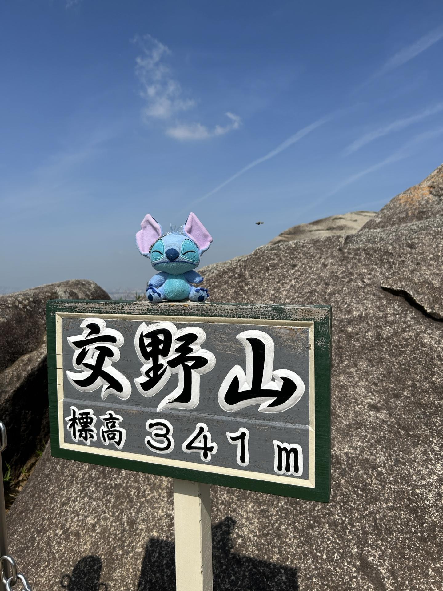 国見山・新サンドイッチ山・交野山@リハビリ登山 / chiekoさんの交野山・国見山の活動データ | YAMAP / ヤマップ