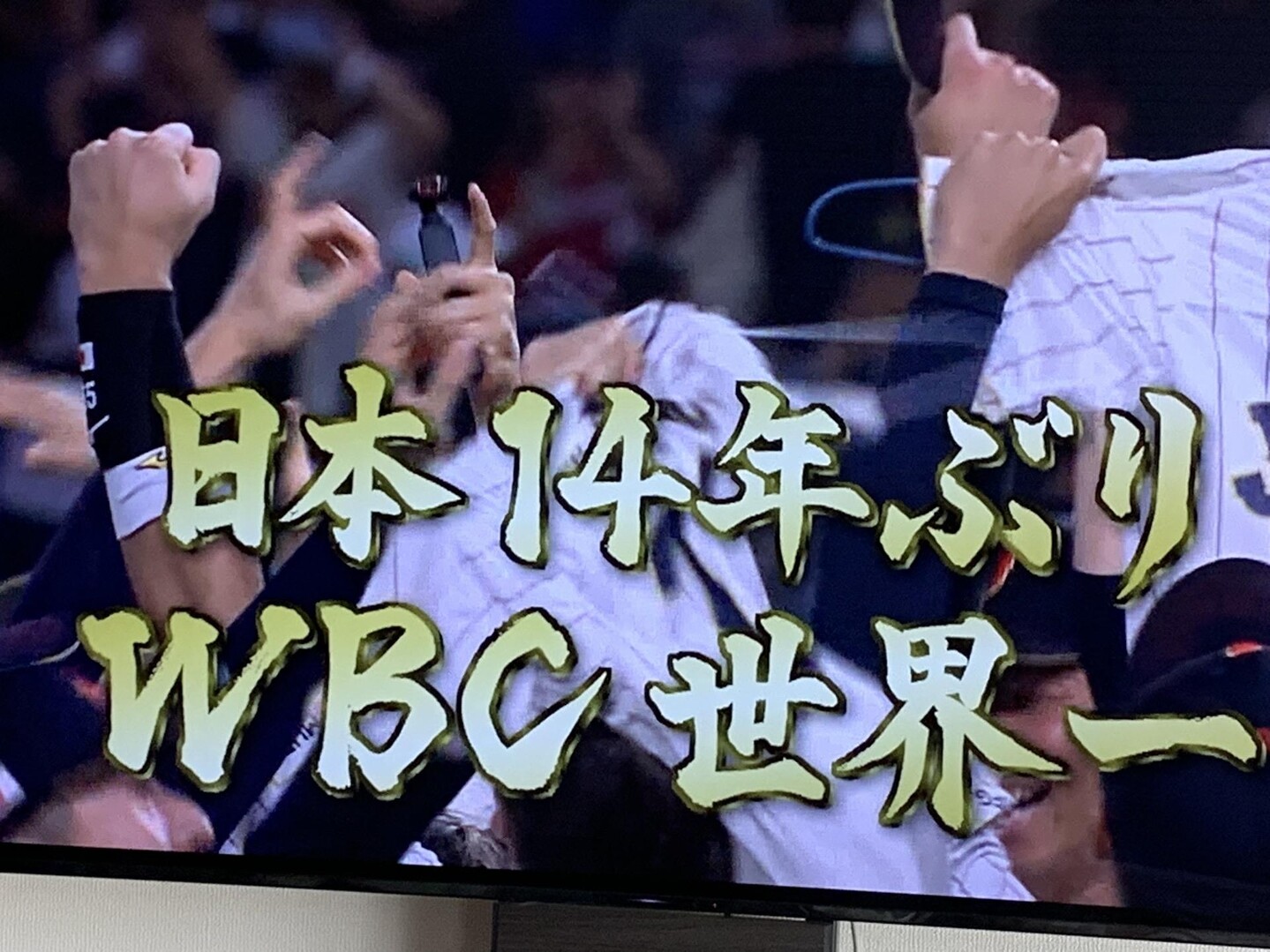 やったー日本（速報） ️ WBC優勝... / かこちゃんさんのモーメント | YAMAP / ヤマップ