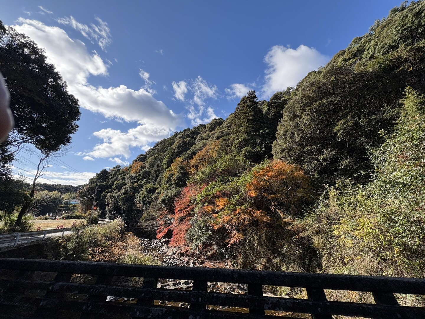 美濃松山・多度山 / MUR-SRさんの多度山・美濃松山・石津御嶽の活動データ | YAMAP / ヤマップ
