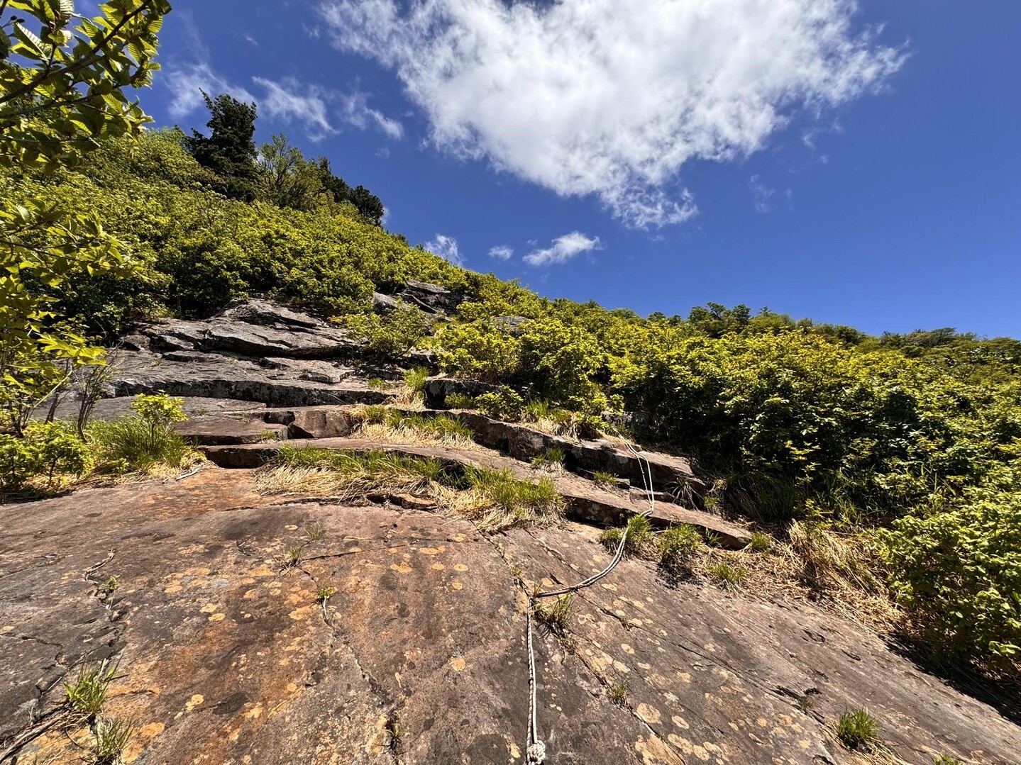 負欠岩コースから飯士山 / TOMO_Peponiさんの飯士山の活動データ | YAMAP / ヤマップ