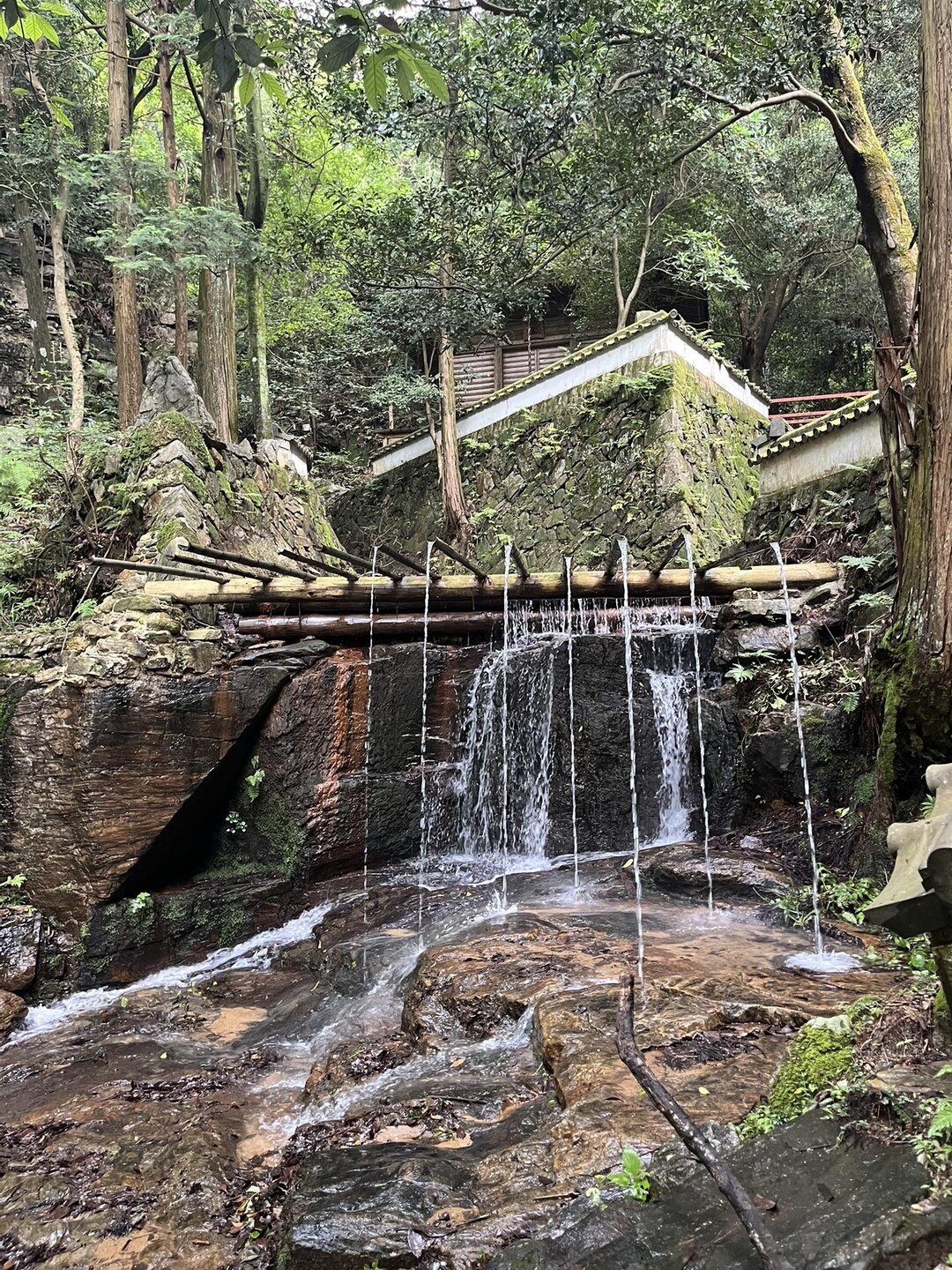 乙女峠・茶臼山・西茶臼山・イナバ山 / Paola Naomiさんの茶臼山・万灯山の活動日記 | YAMAP / ヤマップ