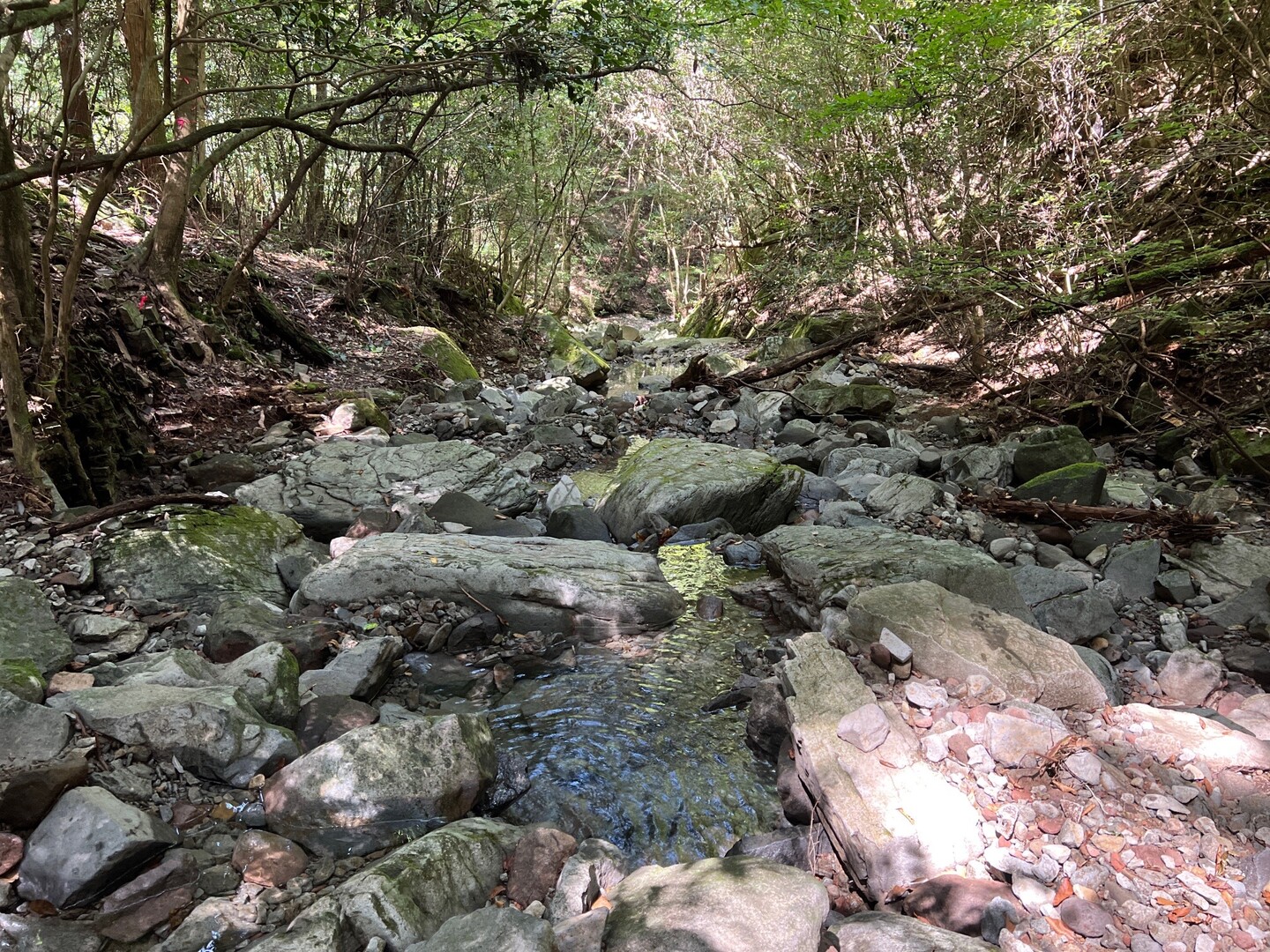 motoyaさんの投稿したフィールドメモ | YAMAP / ヤマップ