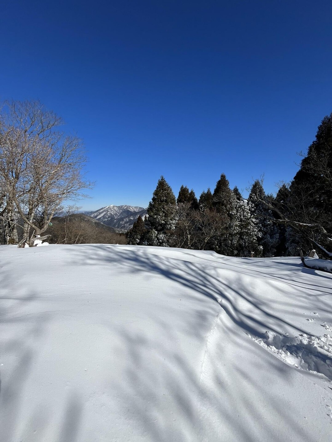 雪の皆子山 / ORIEさんの皆子山の活動データ | YAMAP / ヤマップ