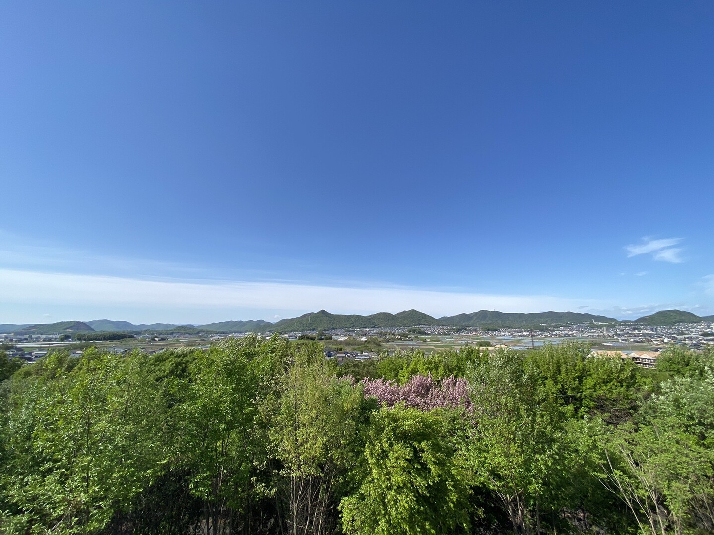 天気がいいので、自宅近くの伊木山まで軽く... / TA-oneさんのモーメント | YAMAP / ヤマップ