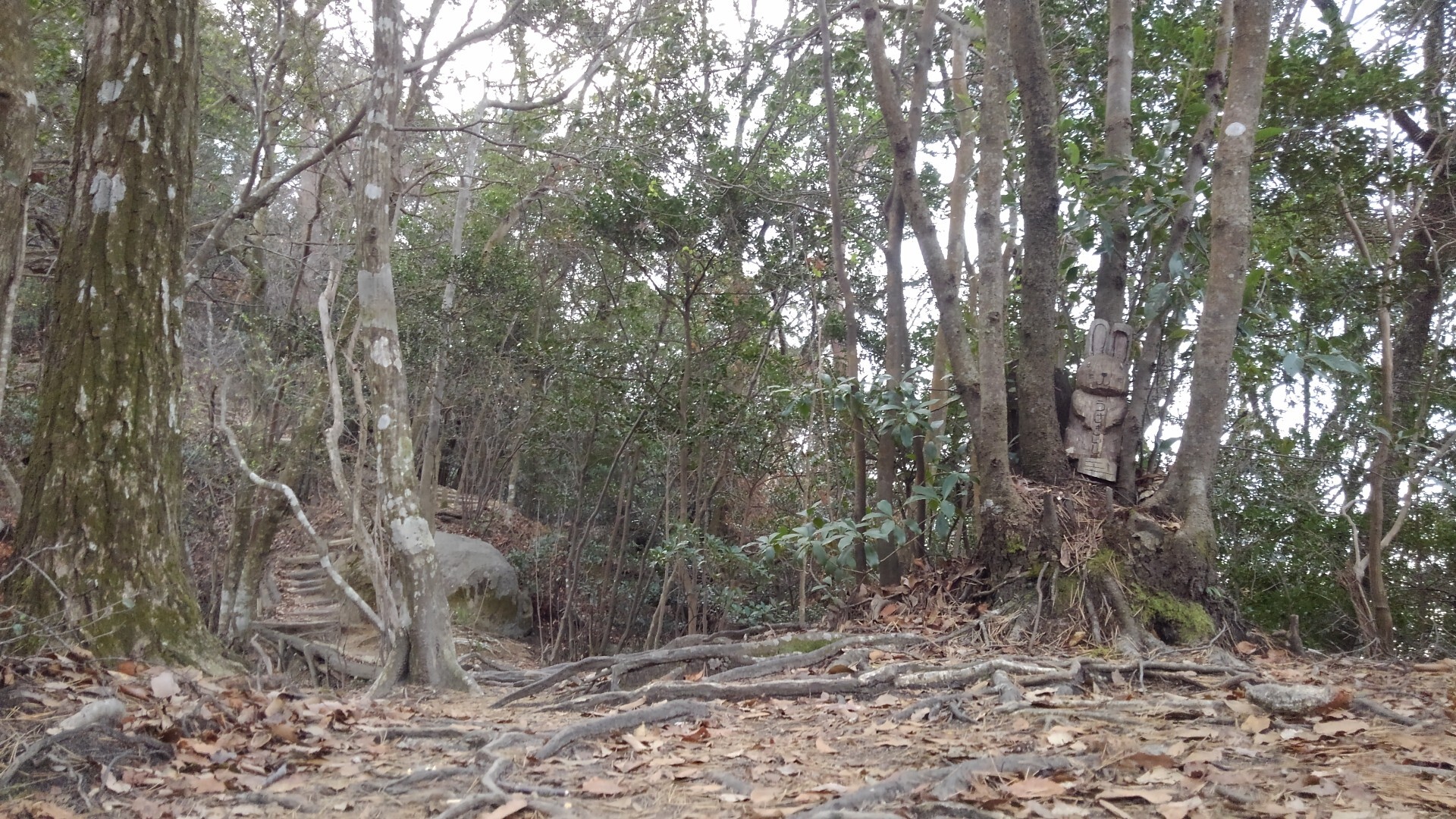 猿投山 雲興寺から / nob3さんの猿投山・物見山の活動データ | YAMAP / ヤマップ