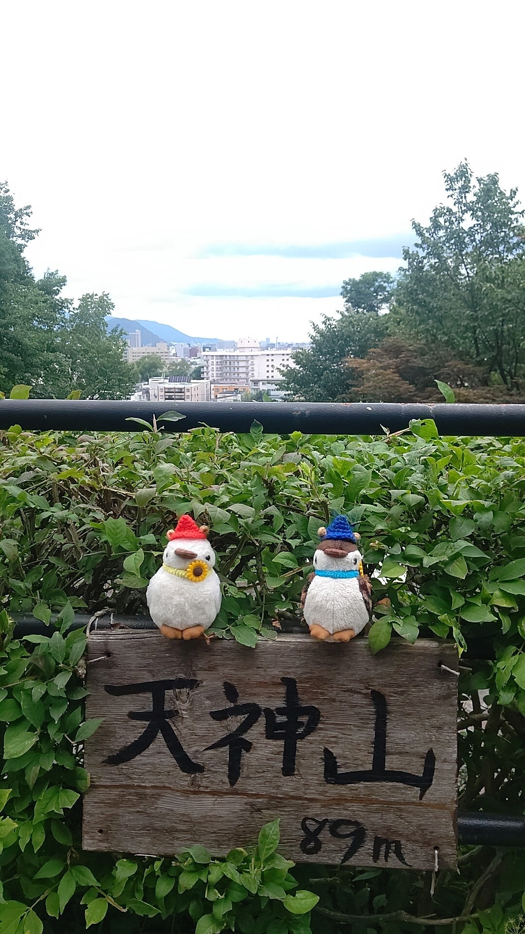 【ｸﾞﾚｰﾋﾟｰｸﾊﾝﾄ👣】天神山 / *yukapico**さんの藻岩山の活動データ | YAMAP / ヤマップ