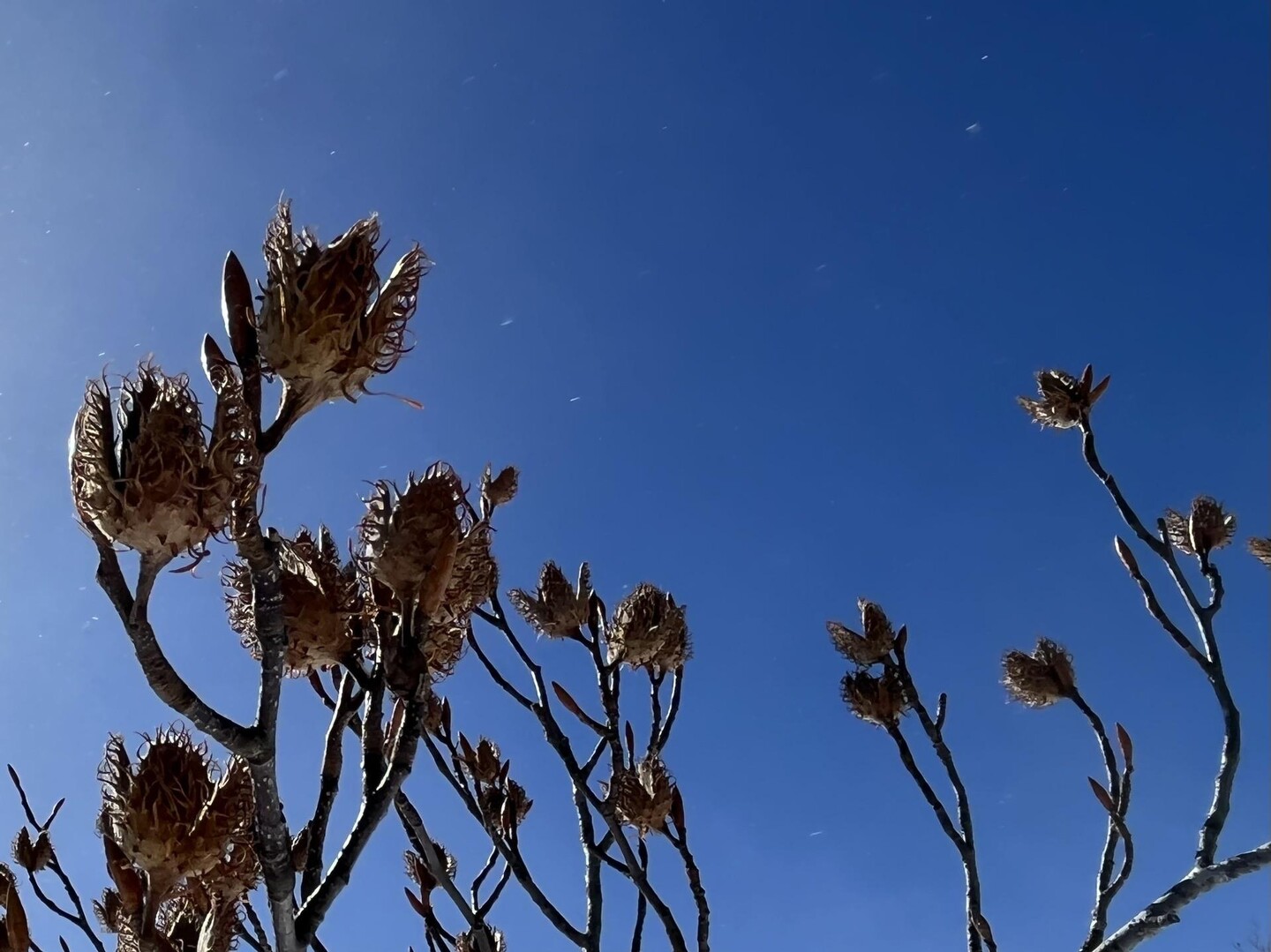 不忘山頂を目指す / shanneiさんの蔵王山・雁戸山・不忘山の活動データ | YAMAP / ヤマップ