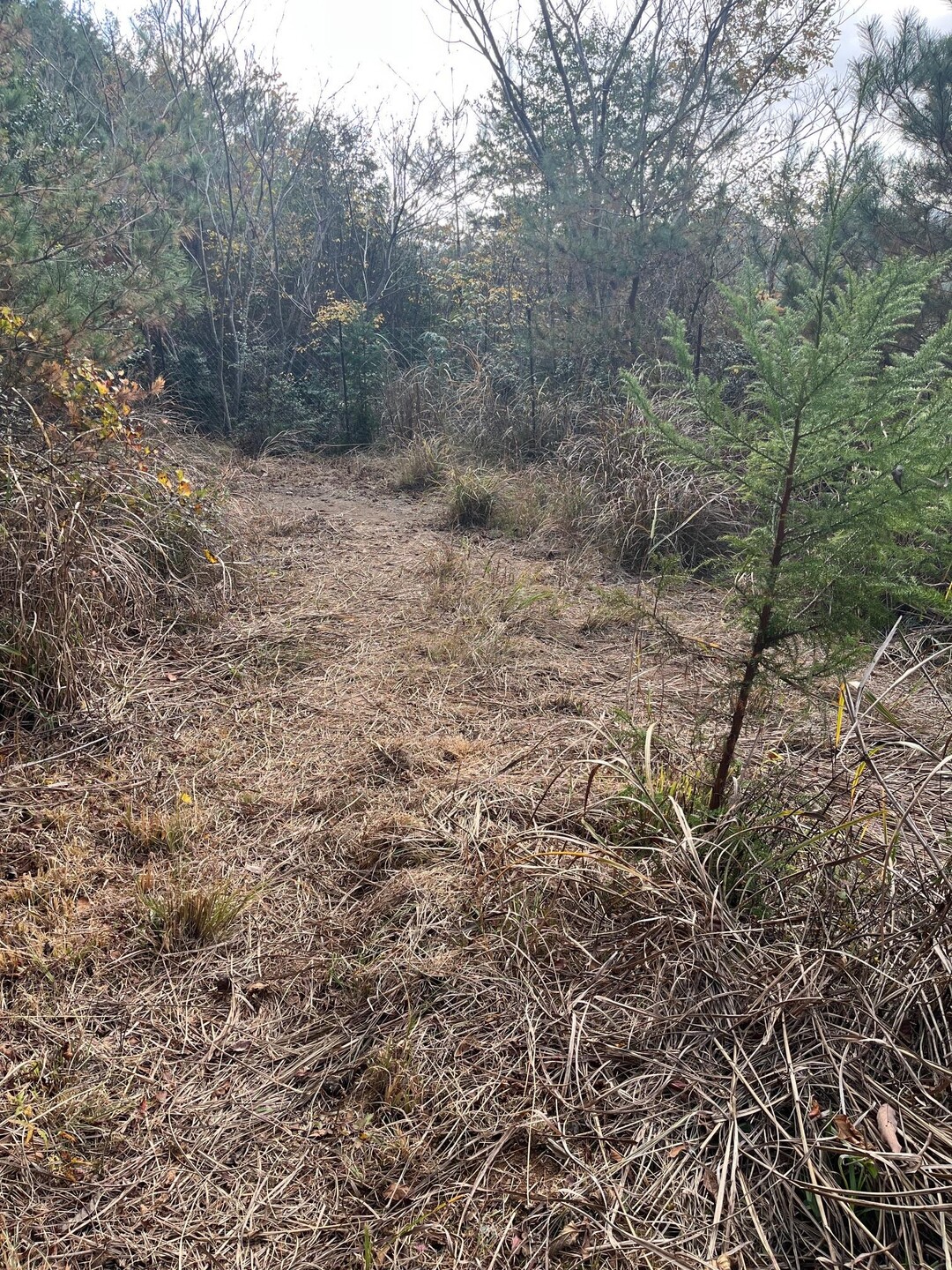 yu-kunさんの投稿したフィールドメモ | YAMAP / ヤマップ