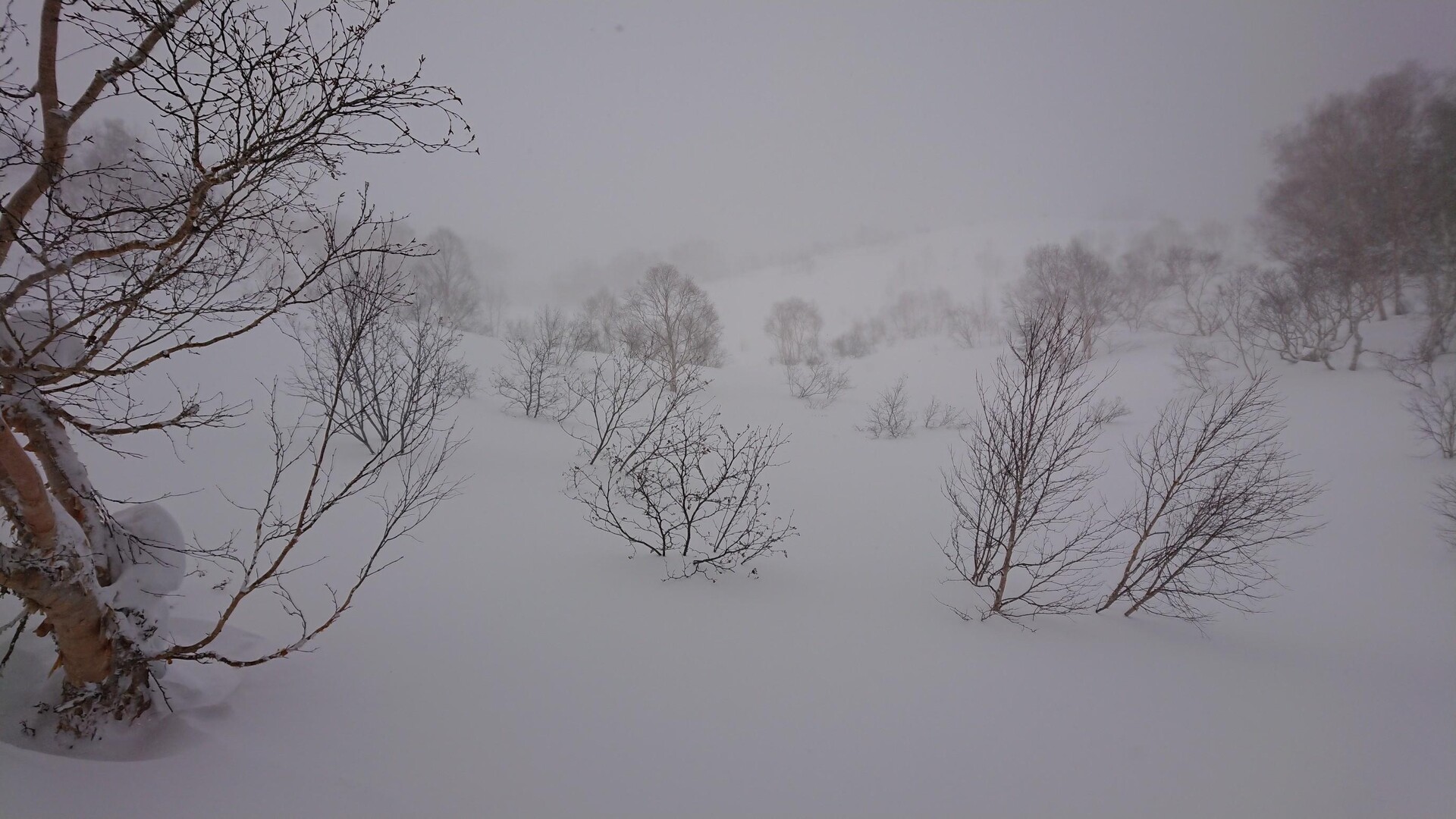 乗鞍岳BC 位ヶ原撤退 ️-2023-01-26 / mc40さんの乗鞍岳の活動データ | YAMAP / ヤマップ