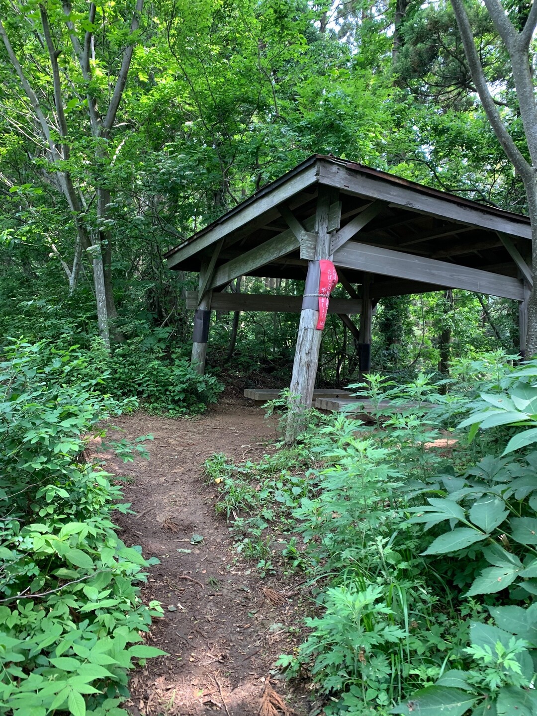 HALさんの投稿したフィールドメモ | YAMAP / ヤマップ