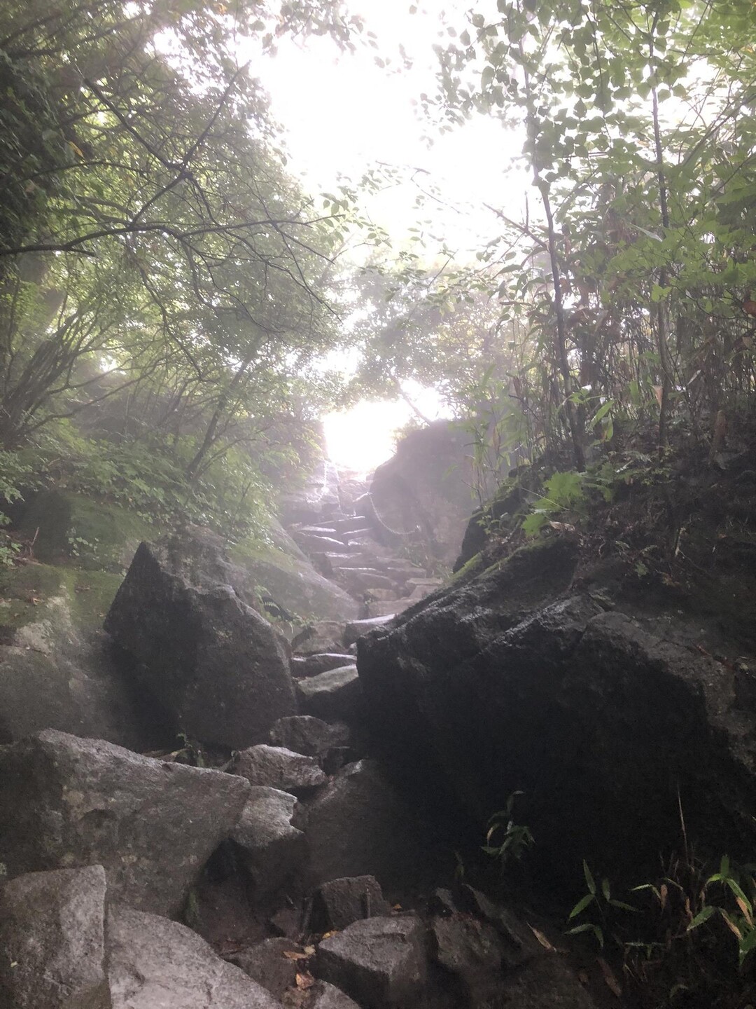 筑波山（女体山） / FujiHiroさんの筑波山の活動データ | YAMAP / ヤマップ