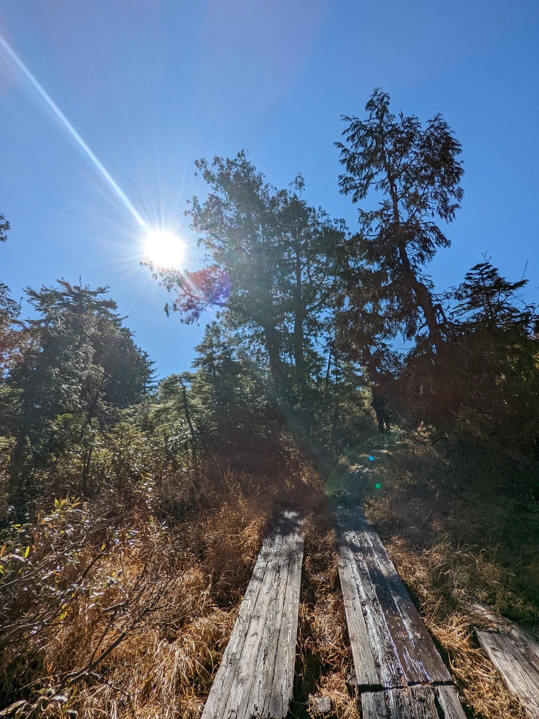 俎嵓・燧ヶ岳(柴安嵓) / K1_Yuukiさんの尾瀬・燧ヶ岳の活動データ | YAMAP / ヤマップ