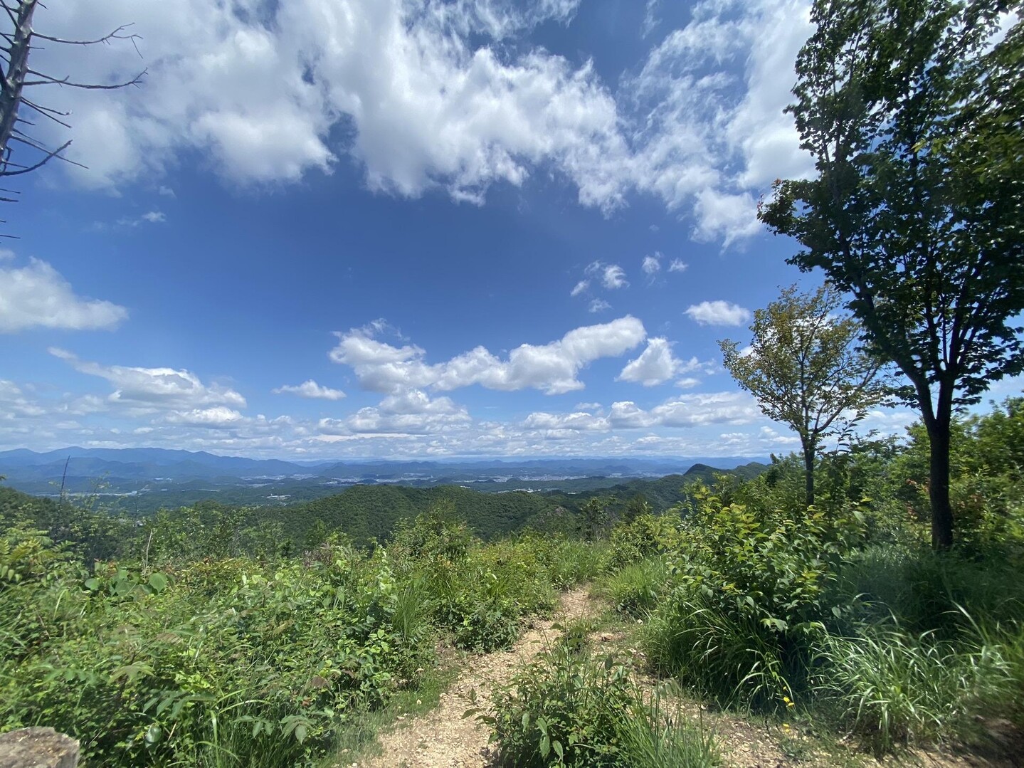 各務原アルプス・八木三山-2023-06-16 / hayaさんの各務原アルプス（関南アルプス）・八木三山の活動データ | YAMAP / ヤマップ