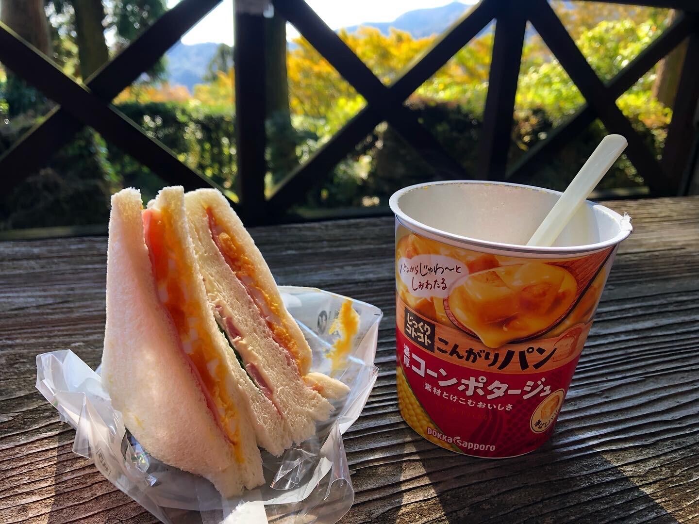 金泉寺山小屋のテラスで食べるランチも最高... / ksn さんのモーメント | YAMAP / ヤマップ