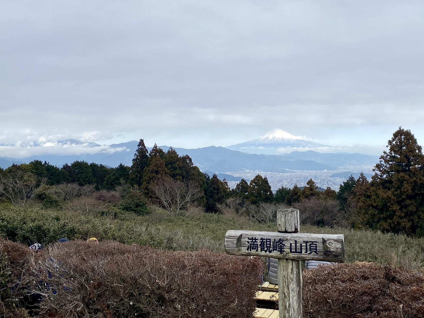 三連休唯一の晴れ間に焼津アルプスをぐるり‼️ / YUKIさんの焼津アルプス（高草山・満観峰・花沢山）・徳願寺山の活動データ | YAMAP / ヤマップ