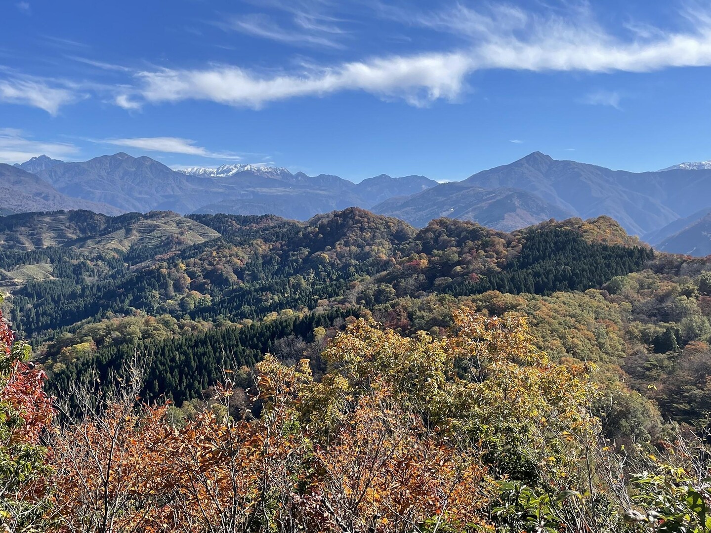 尖山 / ぴこたろうさんの尖山の活動データ | YAMAP / ヤマップ