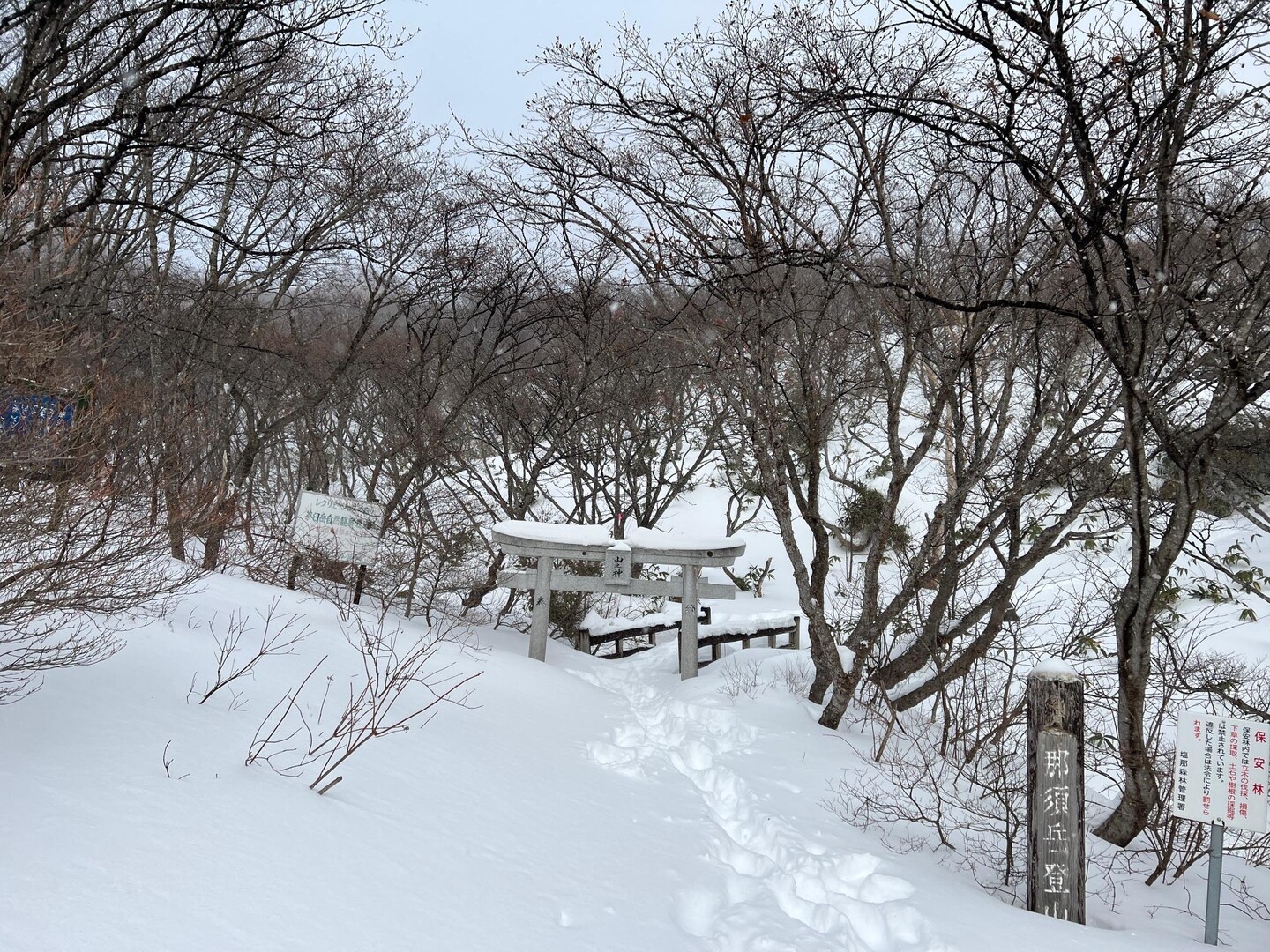 茶臼岳（那須岳） 途中撤退 / Tagmsさんの茶臼岳（那須岳）・三本槍岳・赤面山の活動データ | YAMAP / ヤマップ