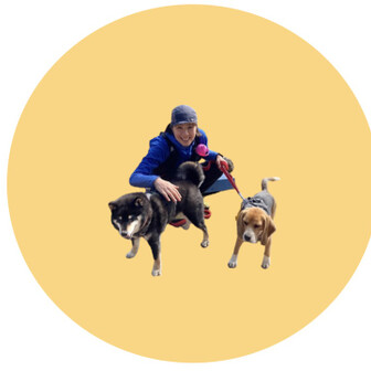 山旅犬🐶ロマチッチ lomachicci | YAMAP / ヤマップ