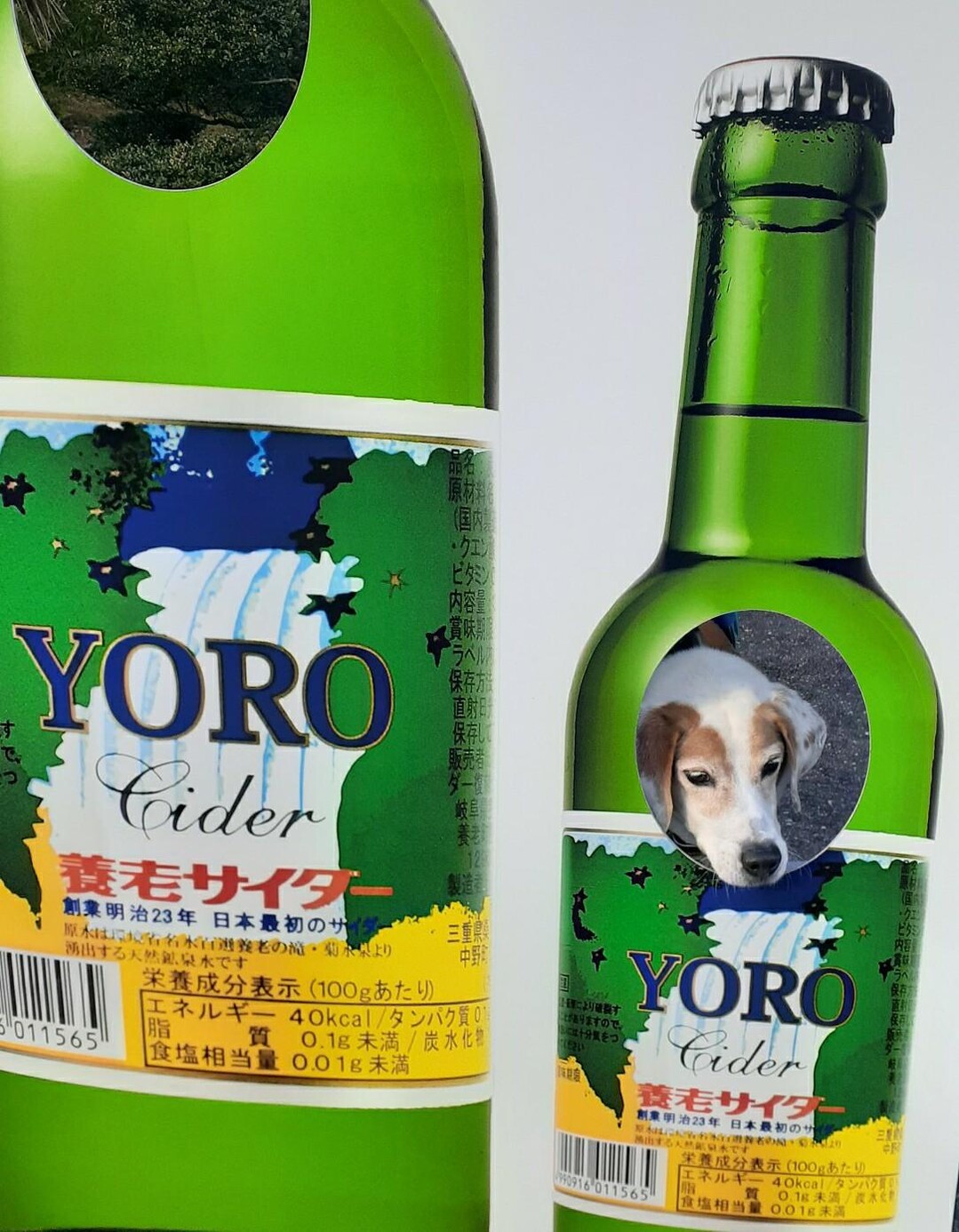 養老公園の紅葉 紅葉が見頃らしいので出か... / たくさんのモーメント | YAMAP / ヤマップ