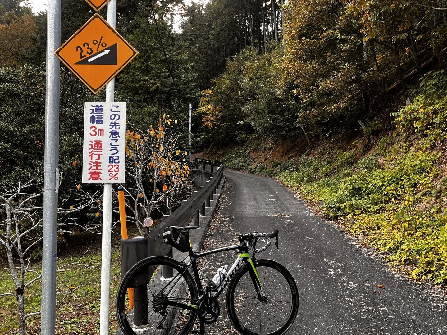 久しぶりのロードバイクで坂を登る / kpk_cooさんのランニングの活動データ | YAMAP / ヤマップ