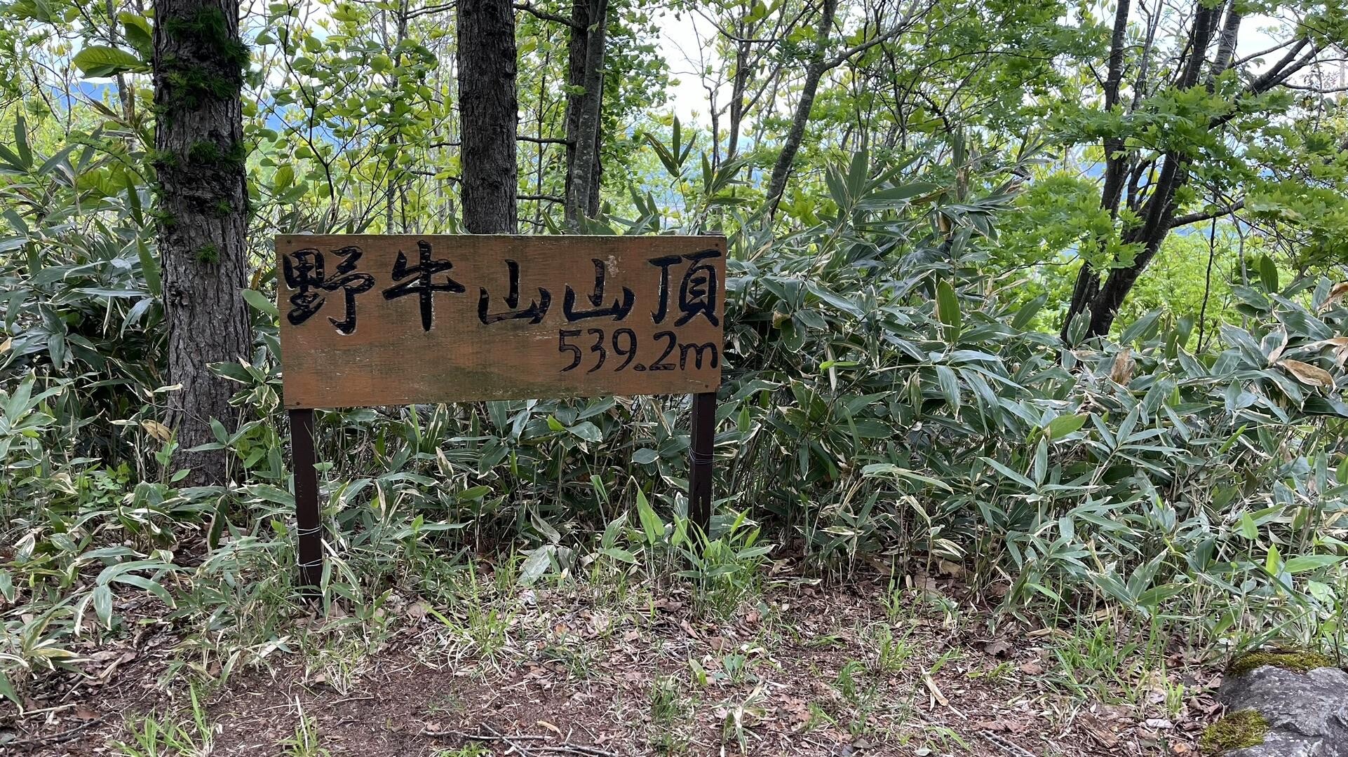 野牛山 / atsushiさんの野牛山・北広山の活動データ | YAMAP / ヤマップ