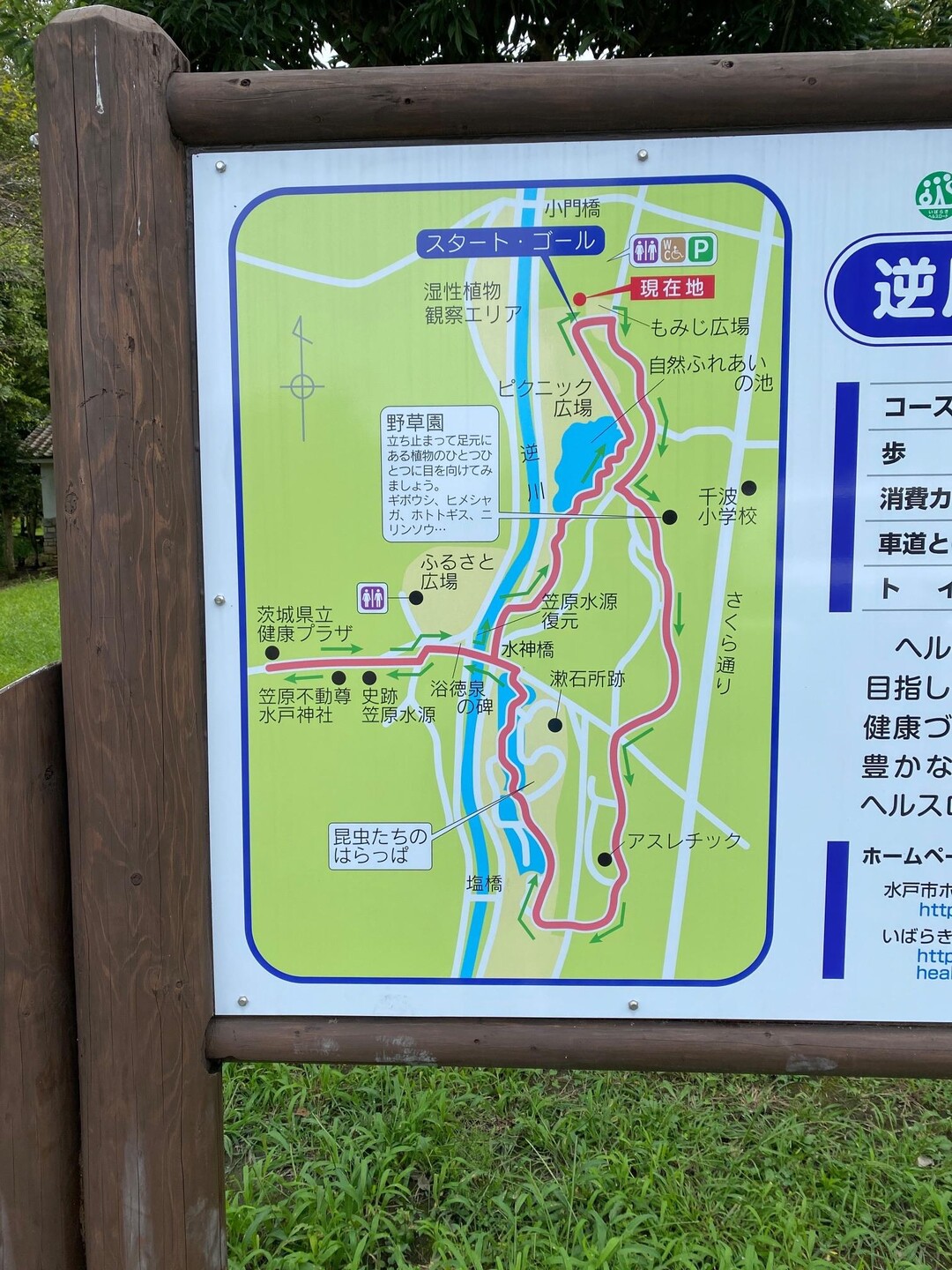 水戸市千波湖 逆川公園-2022-09-13 / Bull&Umiさんのウォーキングの活動データ | YAMAP / ヤマップ