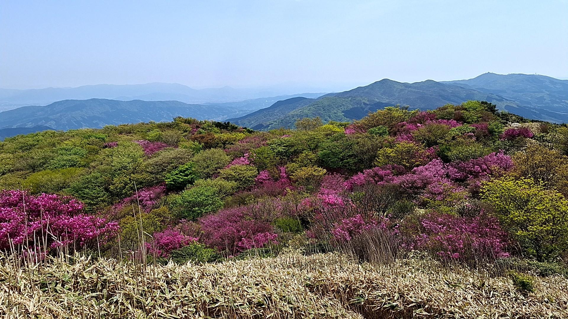 井原山 / shiroさんの雷山・井原山の活動日記 | YAMAP / ヤマップ