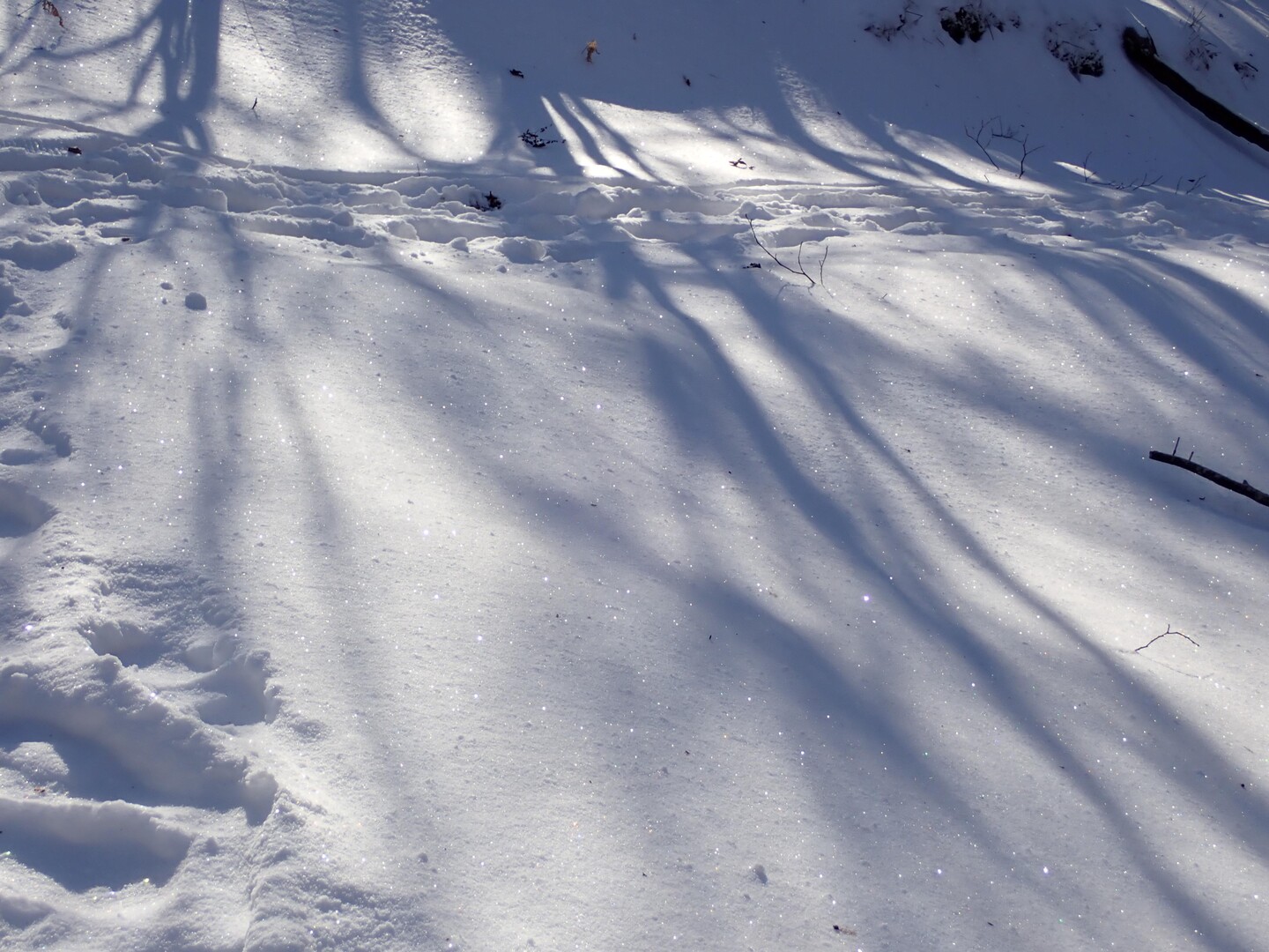 雪山にGO🏔️ / メバルさんの寧比曽岳・筈ヶ岳・出来山の活動データ | YAMAP / ヤマップ