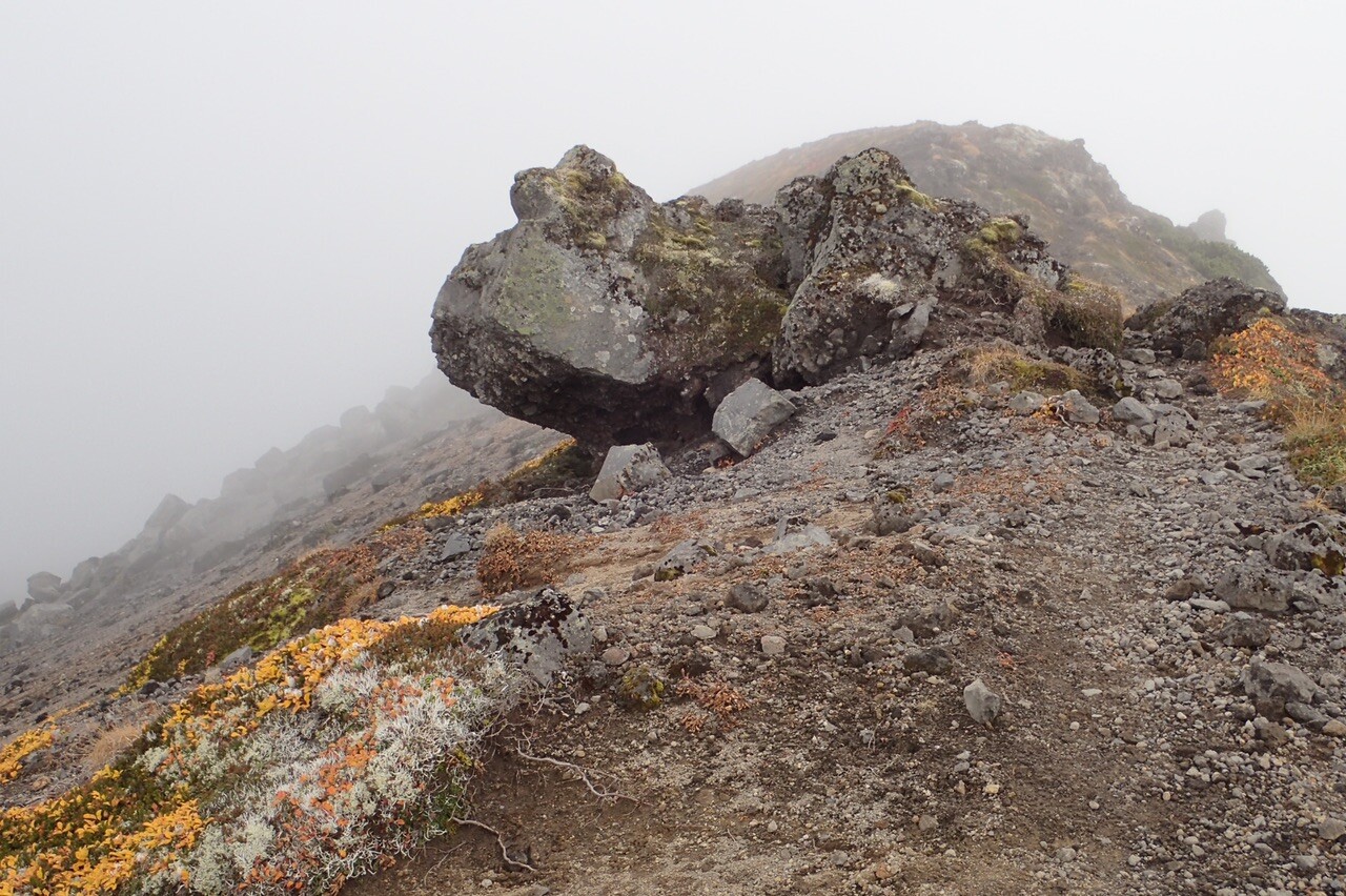 ならリン301のページ | YAMAP / ヤマップ