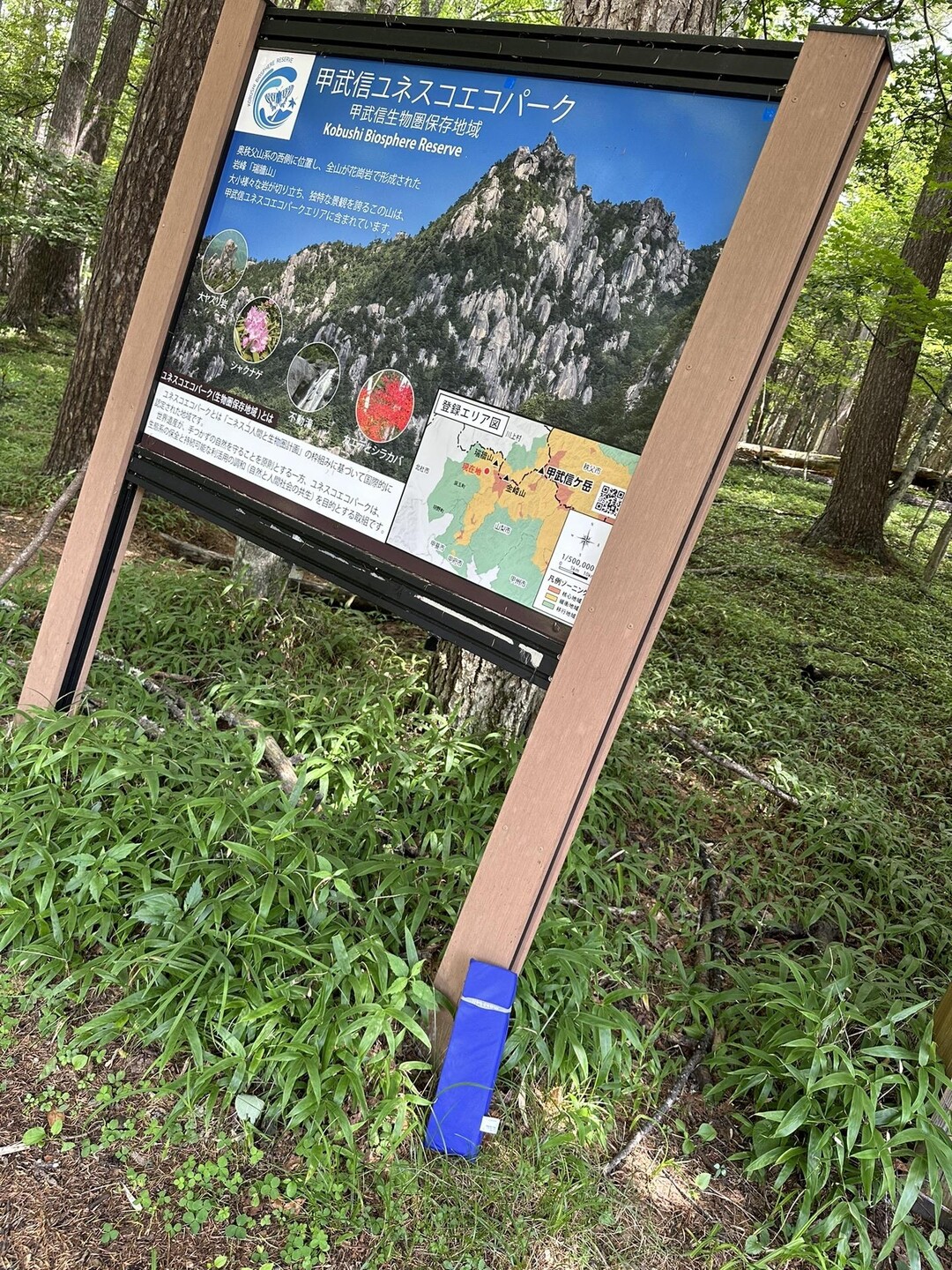 瑞牆山の駐車場すぐ近くに落としてましたよ... / オウルさんのモーメント | YAMAP / ヤマップ