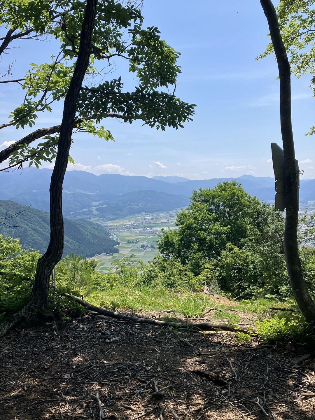 天子山 / minaさんの天子山の活動データ | YAMAP / ヤマップ