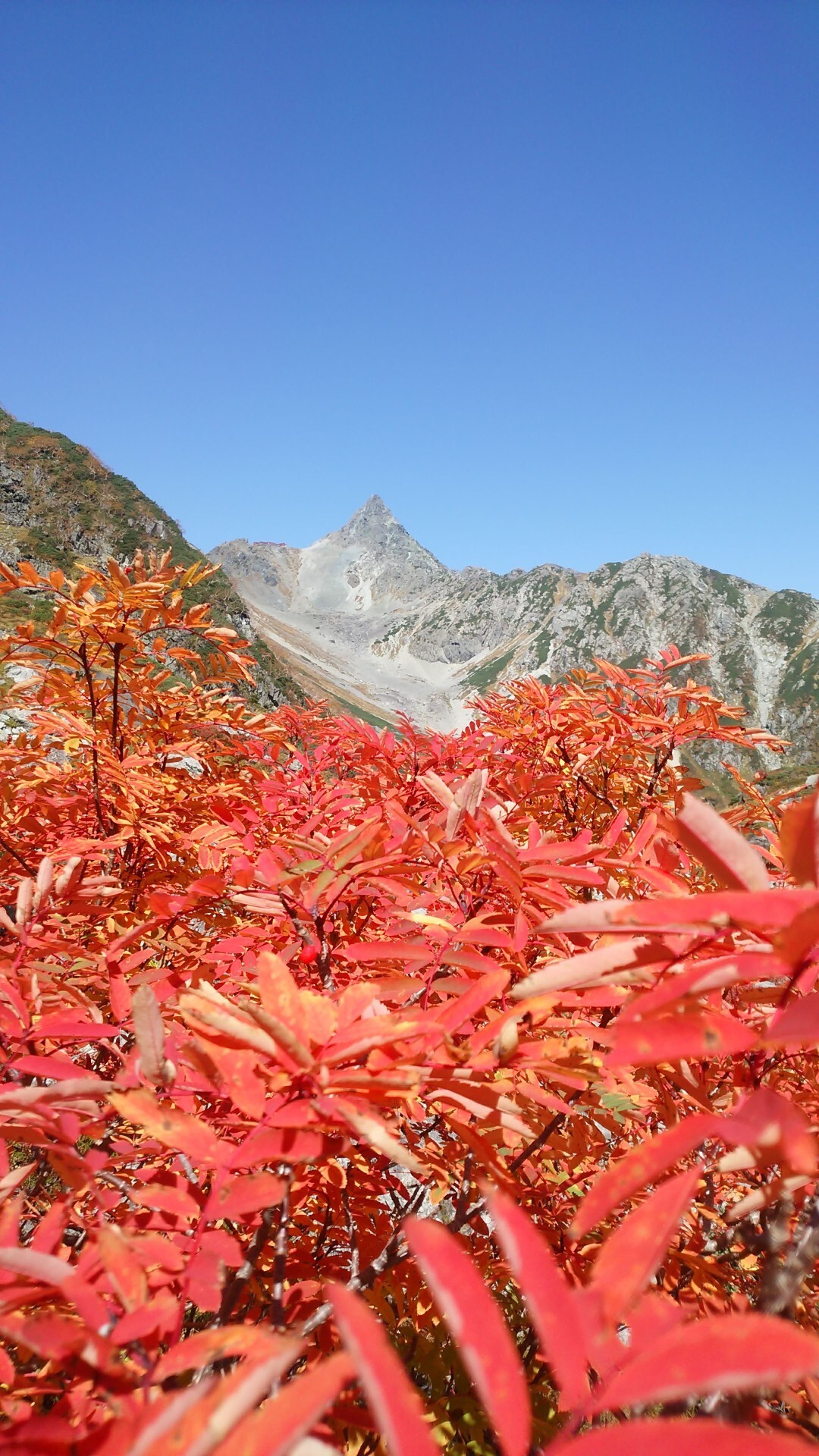 Qchanのページ | YAMAP / ヤマップ