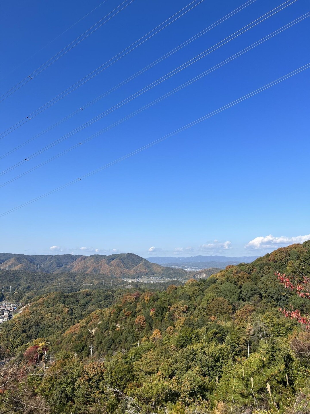 蔵王山(広島) / eriさんの蔵王山の活動データ | YAMAP / ヤマップ