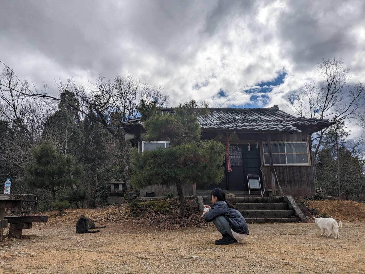 茶臼山と岡本山4 / obamaさんのモーメント | YAMAP / ヤマップ