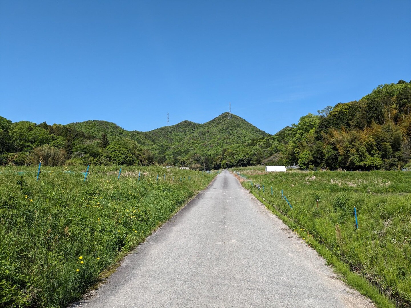 〈縦走〉虚空蔵山 / mettaさんの虚空蔵山・八王子山・和田寺山の活動データ | YAMAP / ヤマップ