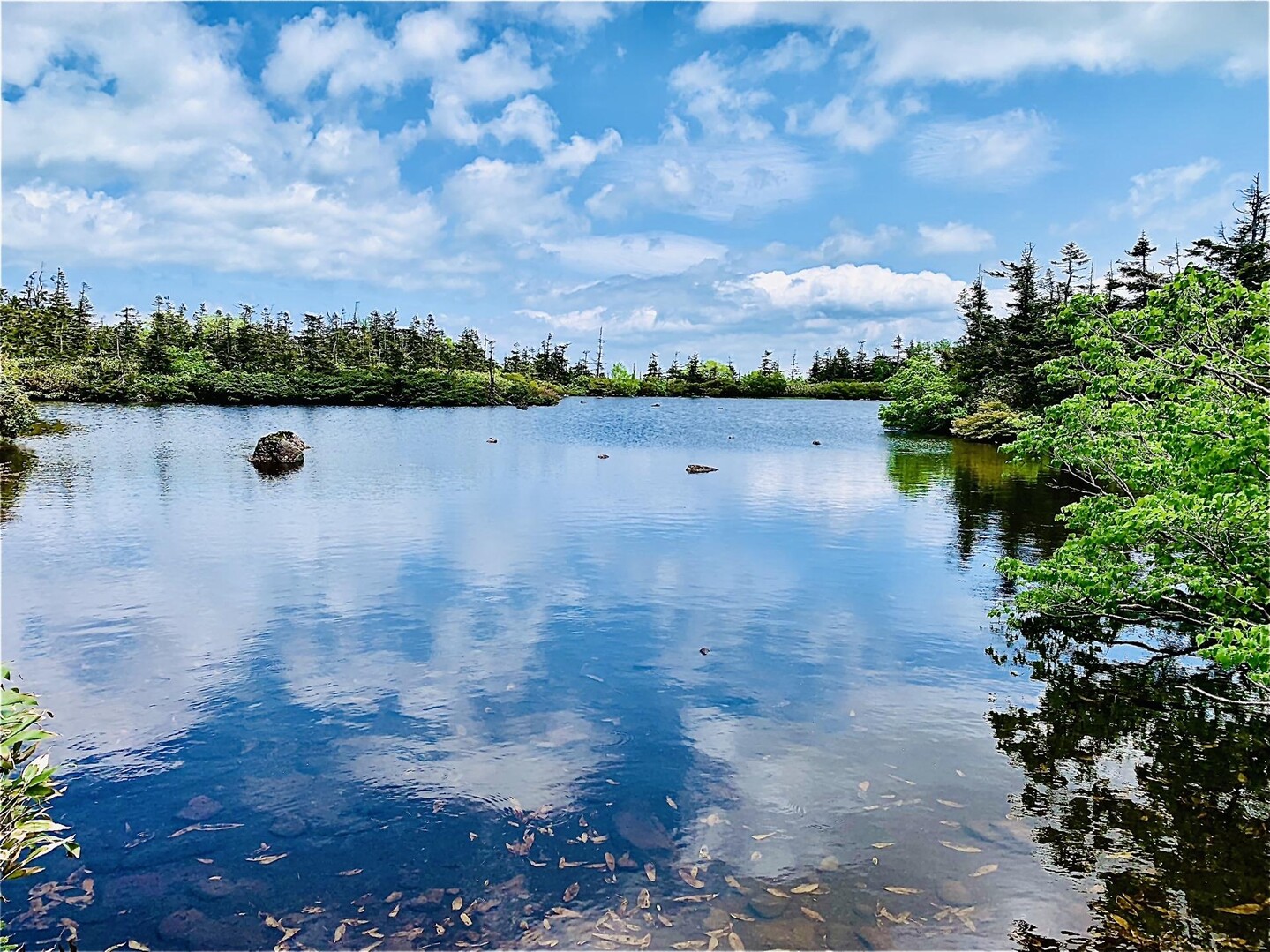 ドラゴンアイに誘われて in八幡平・源太森・畚岳 / white-outさんの八幡平・源太森・安比岳の活動データ | YAMAP / ヤマップ