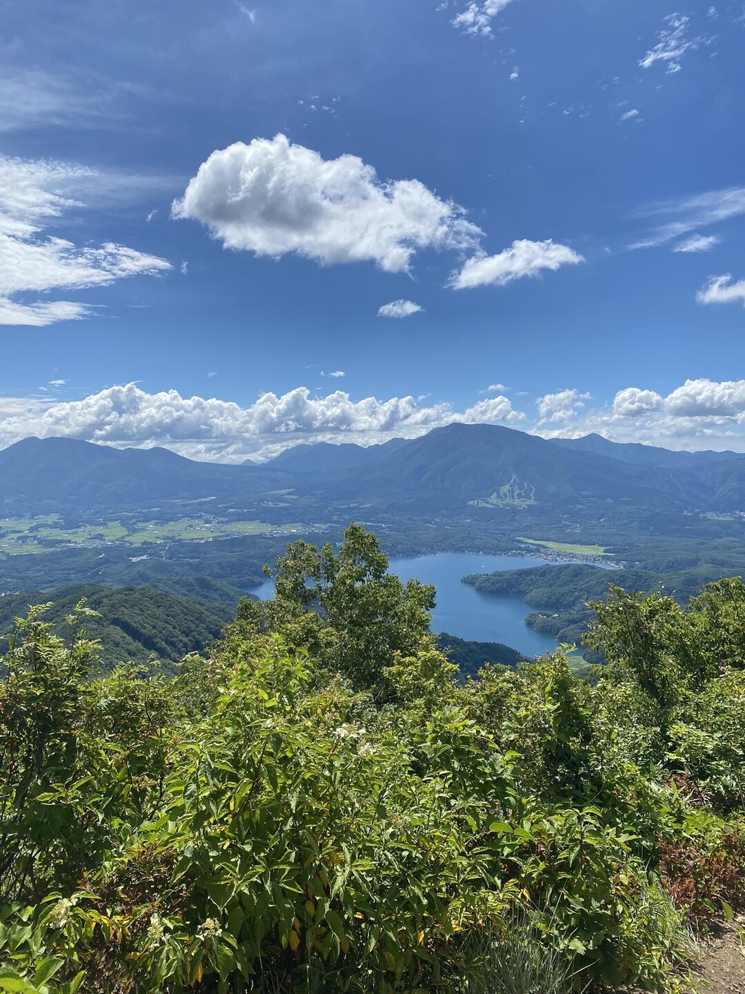 大明神岳・斑尾山 あまとみトレイル / 105sunさんの飯縄山の活動データ | YAMAP / ヤマップ