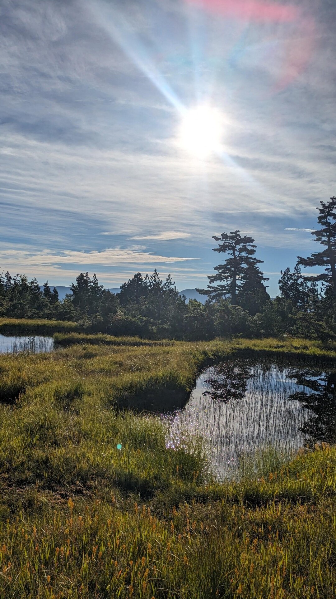 俎嵓・燧ヶ岳(柴安嵓)・ミノブチ岳 / ____yk_さんの尾瀬・燧ヶ岳の活動データ | YAMAP / ヤマップ