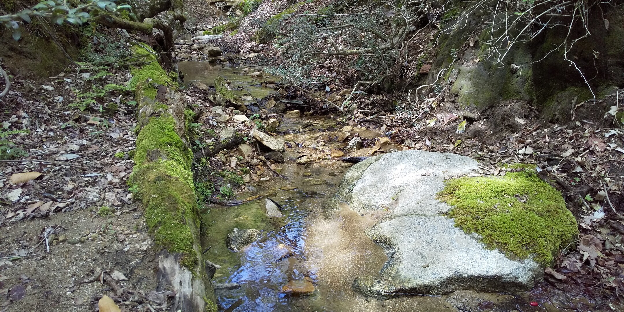 mountzen さんの投稿したフィールドメモ | YAMAP / ヤマップ