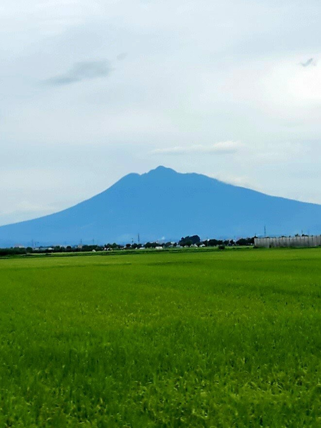 岩木山と田園。 曇りですが、山容が美しい... / 気紛れDAKARAさんのモーメント | YAMAP / ヤマップ