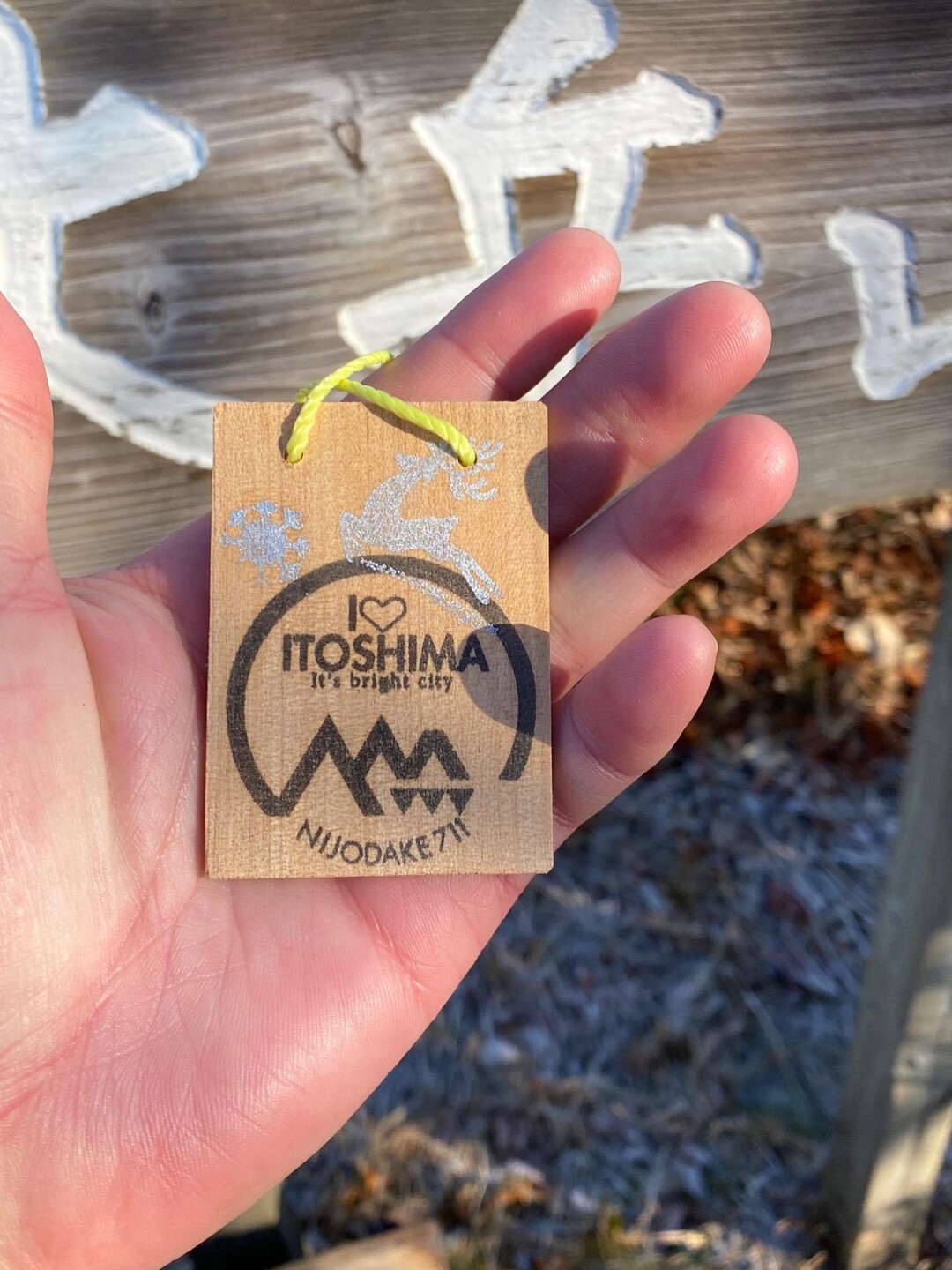 二丈岳 のんびり / tonyさんの二丈岳・十坊山の活動データ | YAMAP / ヤマップ