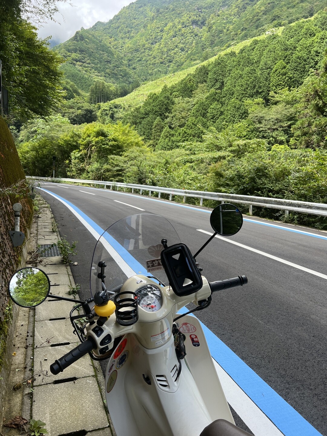 失意の永納山 / Rincoさんの笠松山の活動データ | YAMAP / ヤマップ